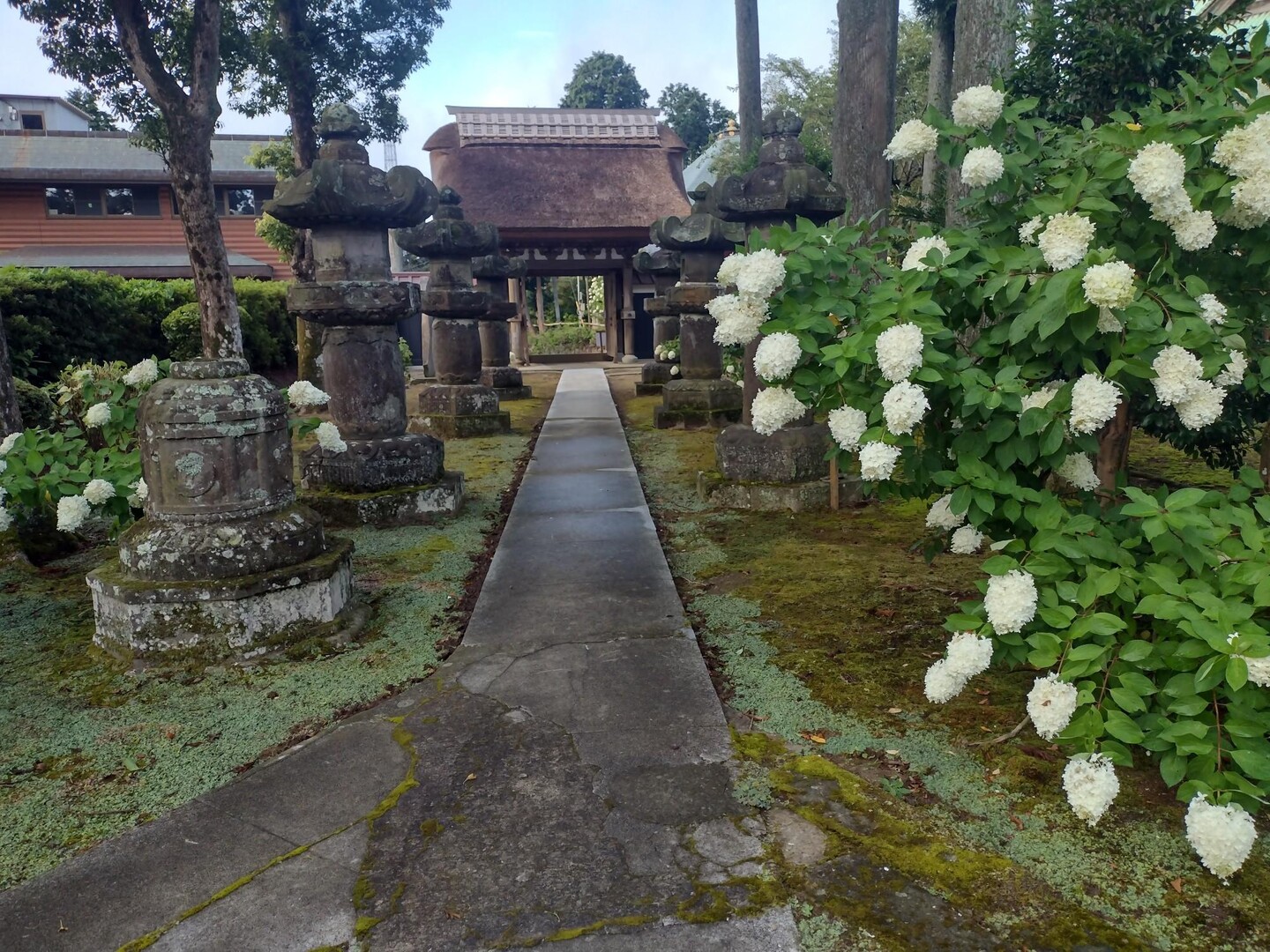鹿野山～秋元浅間山 / my-kyさんの鹿野山の活動データ | YAMAP / ヤマップ