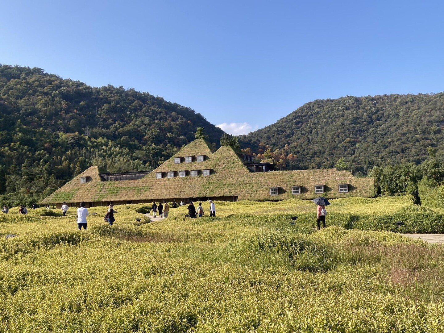 ラコリーナと近江八幡の山々 / TQさんの長命寺山・奥島山・尾山の活動データ | YAMAP / ヤマップ