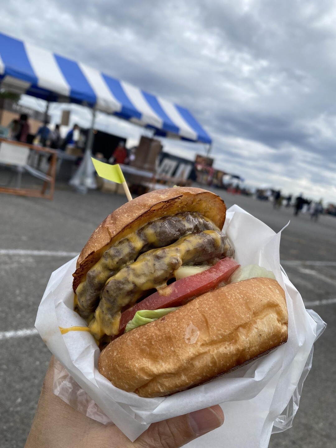 大磯まつりへ往復12キロ / kanaさんのウォーキングの活動データ | YAMAP / ヤマップ