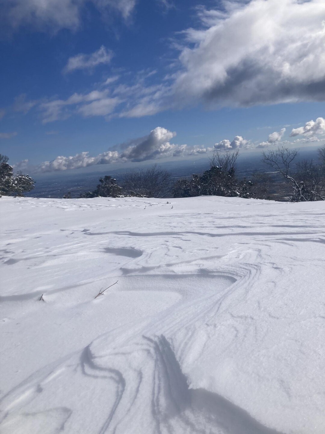 三方山・小倉山・北尾根P826峰 / マサ5100さんの養老山・笙ヶ岳・三方山の活動データ | YAMAP / ヤマップ