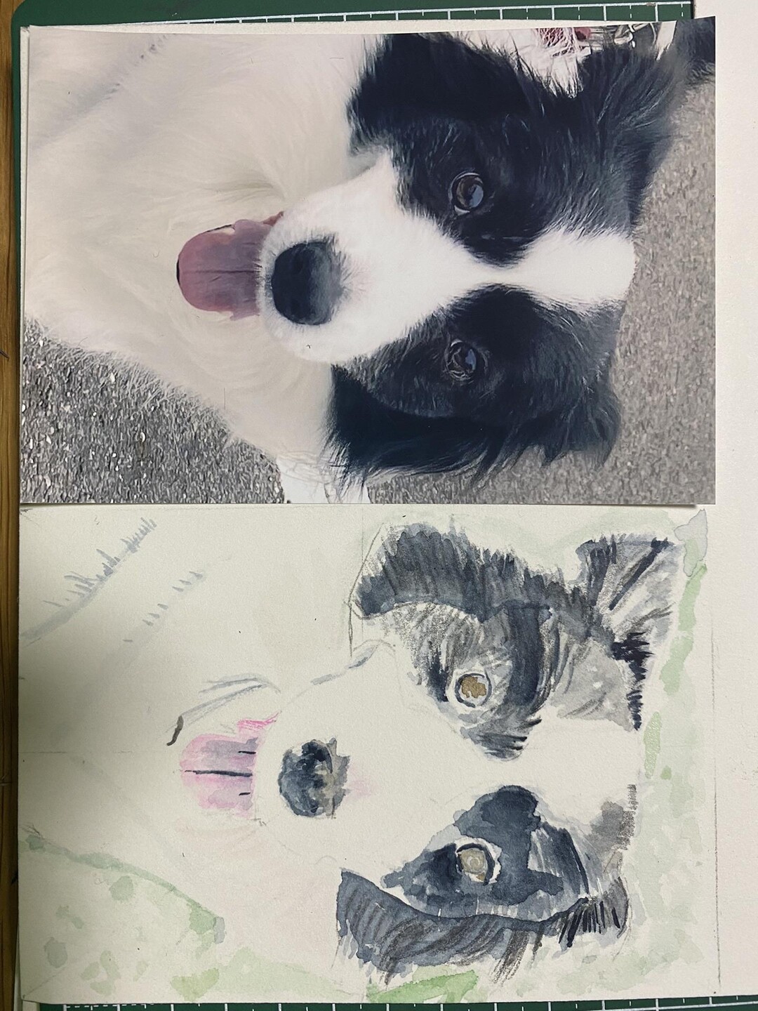 メイちゃんモーメント 色を少し濃くして、... / 道（思うところあって、名前変えました。）さんのモーメント | YAMAP / ヤマップ