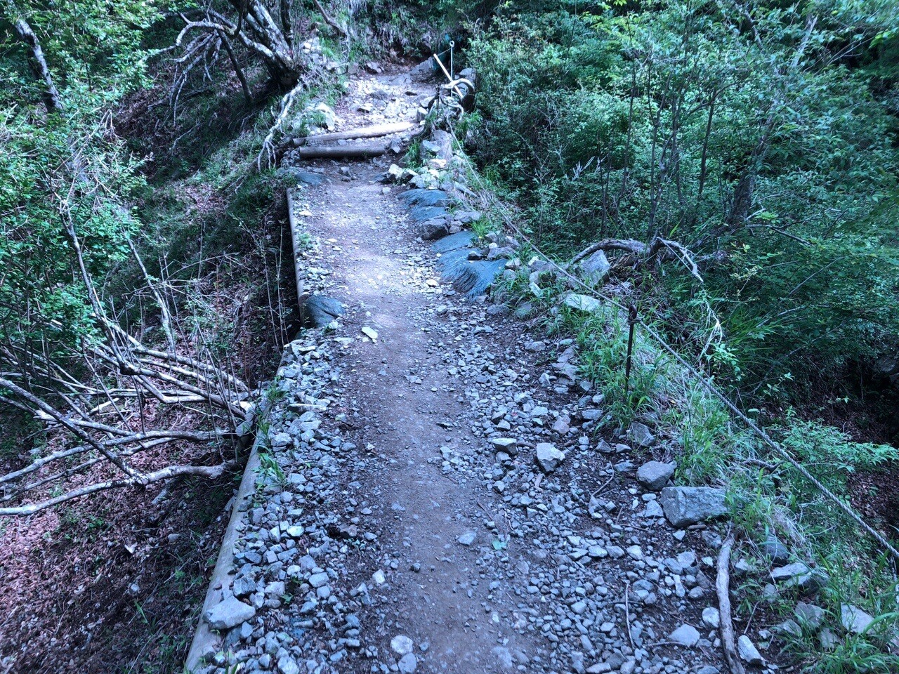 RMさんの投稿したフィールドメモ | YAMAP / ヤマップ