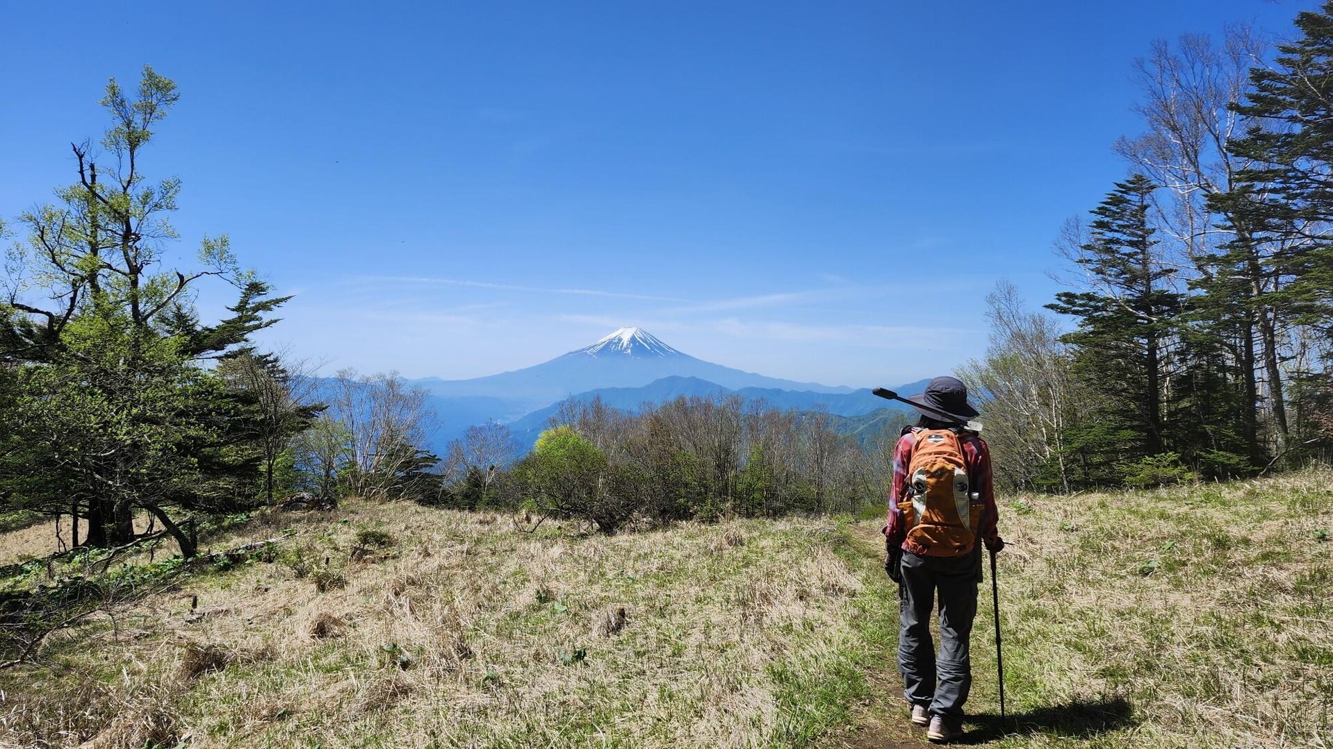 雁ヶ腹摺山 富士見登山 / SKI MAPさんの雁ヶ腹摺山・岩殿山の活動日記 | YAMAP / ヤマップ