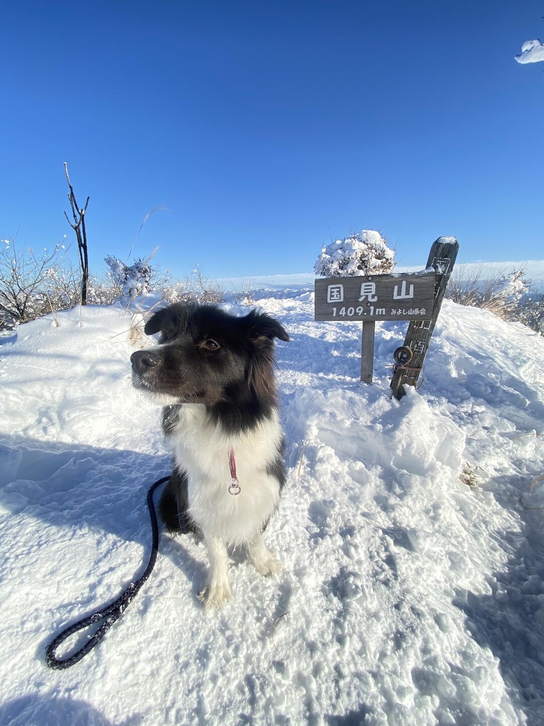 国見山with DOG-2023-12-24 / ツネさんさんのウォーキングの活動データ | YAMAP / ヤマップ
