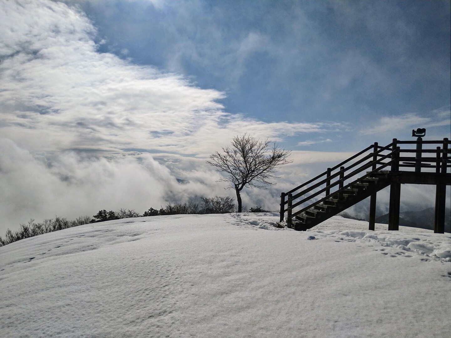 磯砂山 / YT9さんの磯砂山の活動データ | YAMAP / ヤマップ