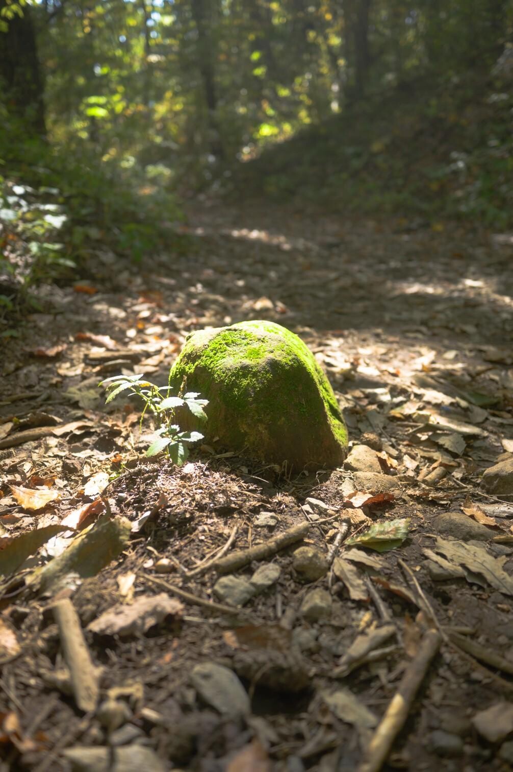 レンズレビュー動画アップしました 見に... / vlog_tottiyさんのモーメント | YAMAP / ヤマップ