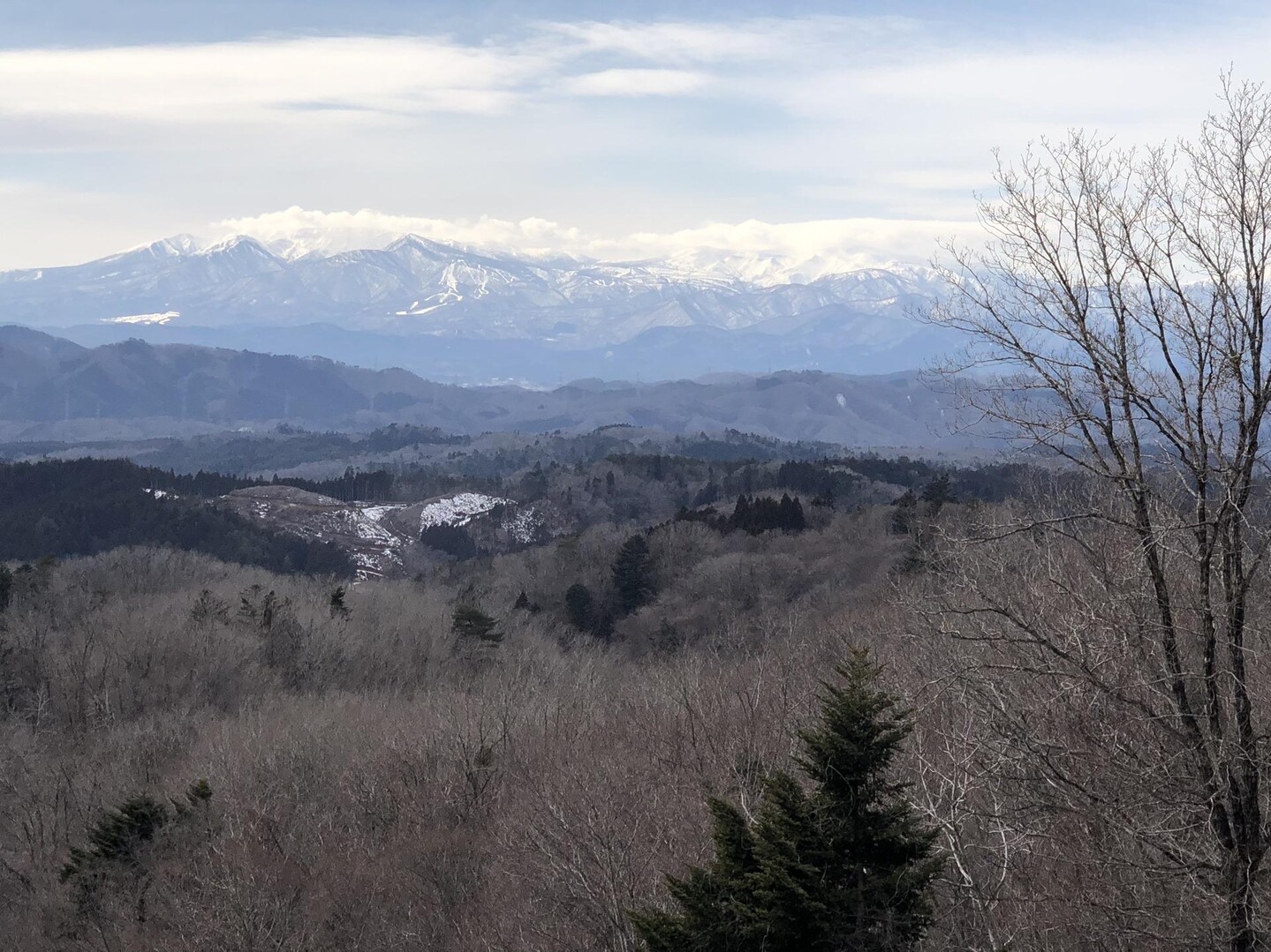 西風蕃山・萱ヶ崎山 / ak,snowさんの太白山・萱ヶ崎山・蕃山の活動データ | YAMAP / ヤマップ