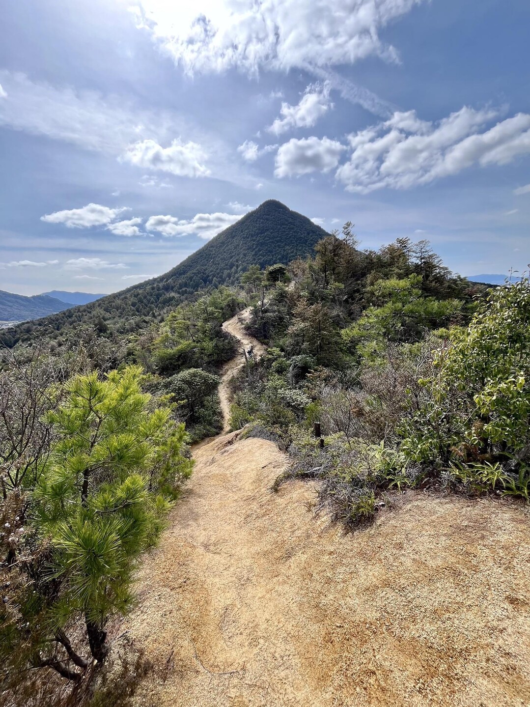 三上山縦走後に沼にハマる(御幸山・星ヶ峰・鏡山・竜王山・立石山・タムシバ山・古城山・城山・吉祥寺山・田中山・旗振山・東光... / mintさんの三上山・鏡山の活動データ | YAMAP / ヤマップ