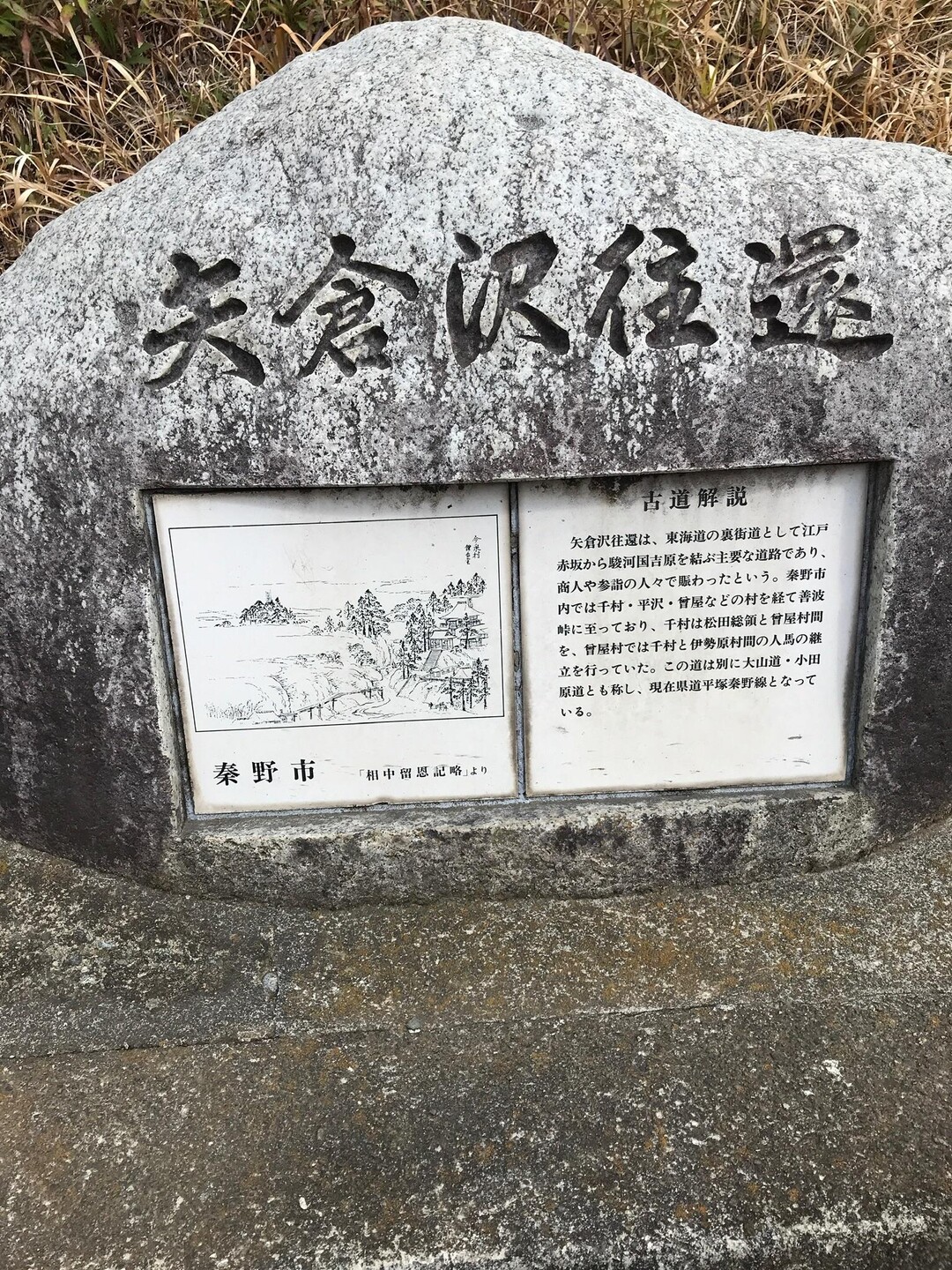 反省多き、矢倉沢往還道歩き / takeyanさんの大山の活動データ | YAMAP / ヤマップ