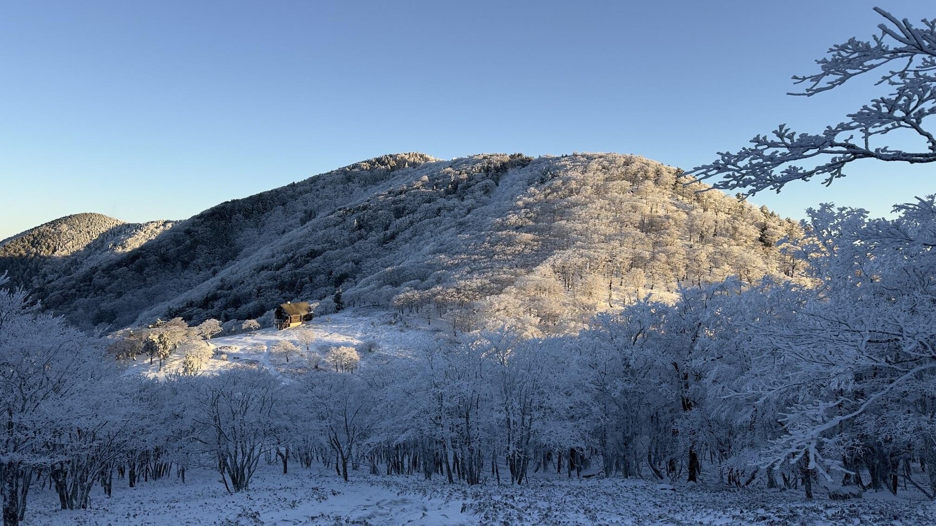 おはようございます☀ 明神平より / だんちやん🅿️さんのモーメント | YAMAP / ヤマップ