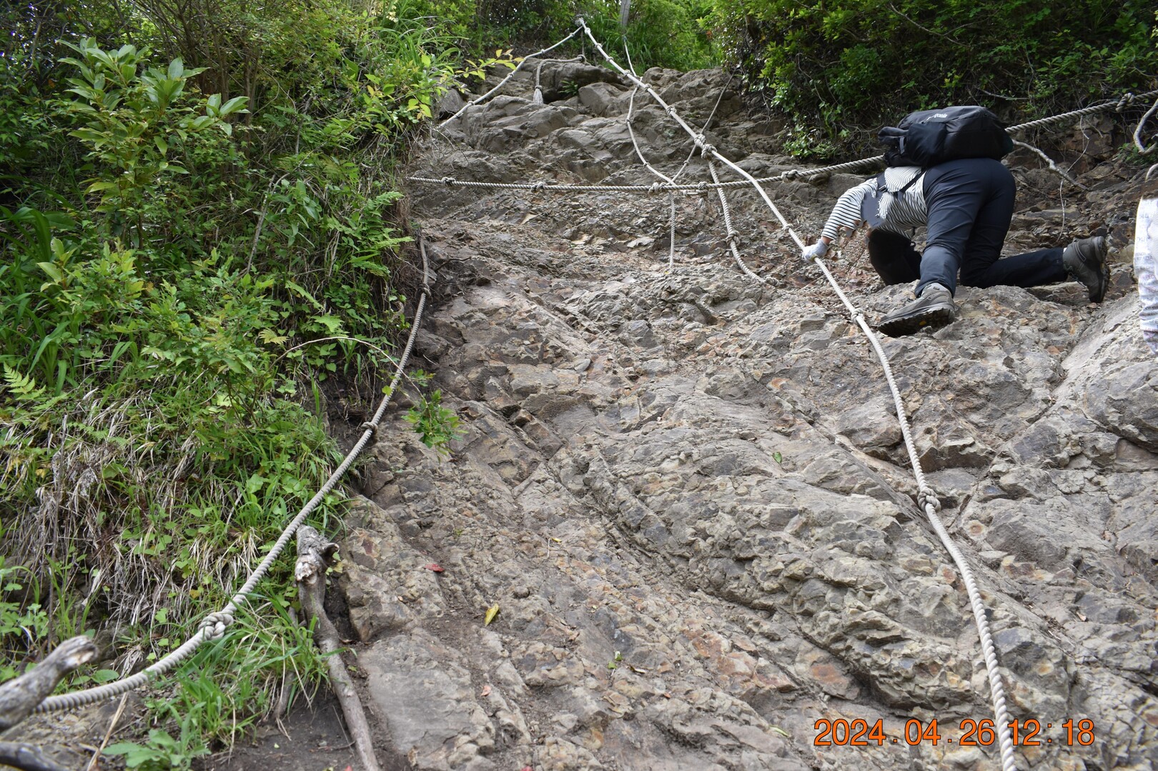 ピエール・HOSHIさんの投稿したフィールドメモ | YAMAP / ヤマップ