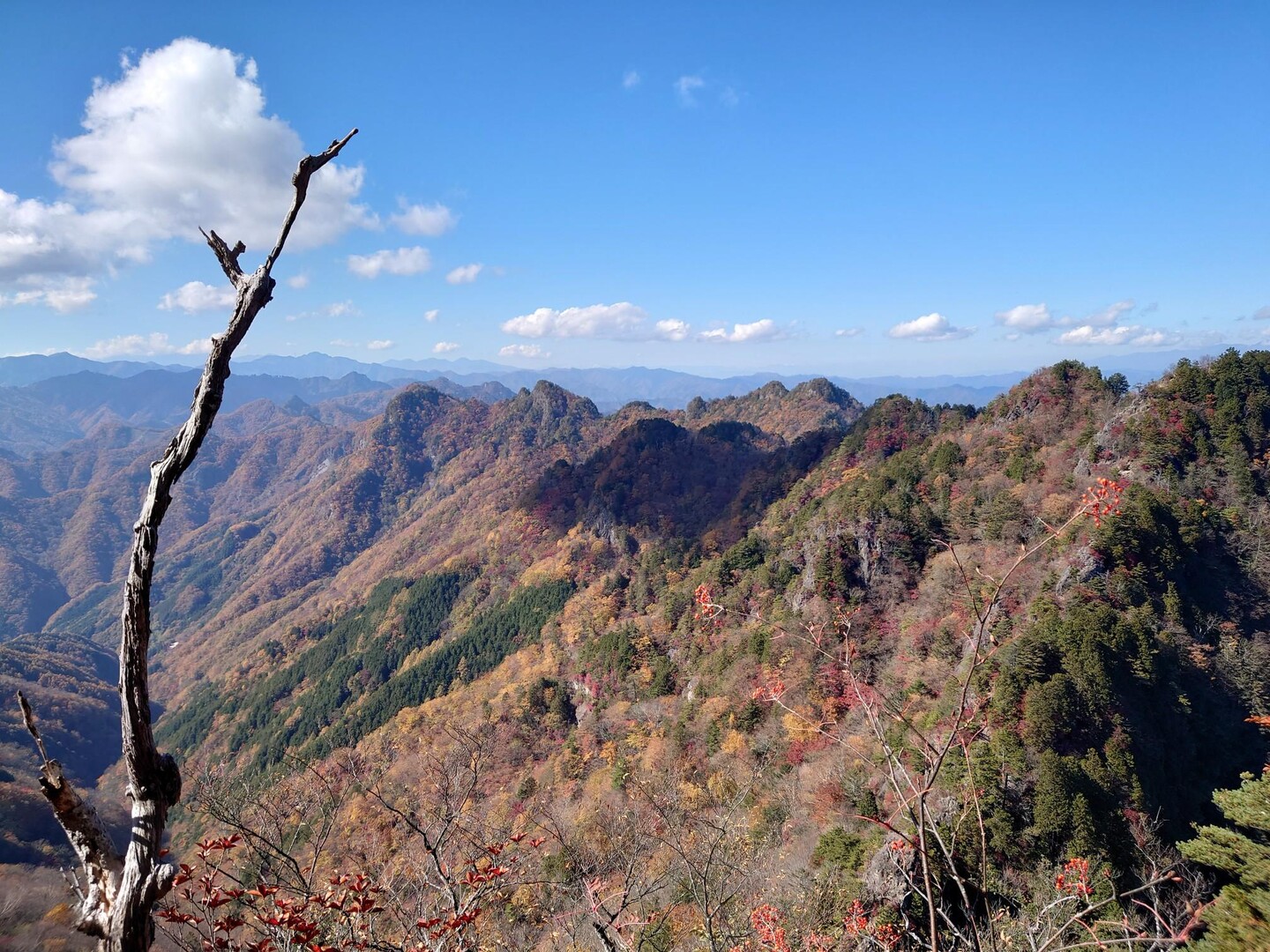 YAMAP仲間と両神山(八丁峠〜) / ドラゴントレックさんの両神山・諏訪山・二子山の活動データ | YAMAP / ヤマップ
