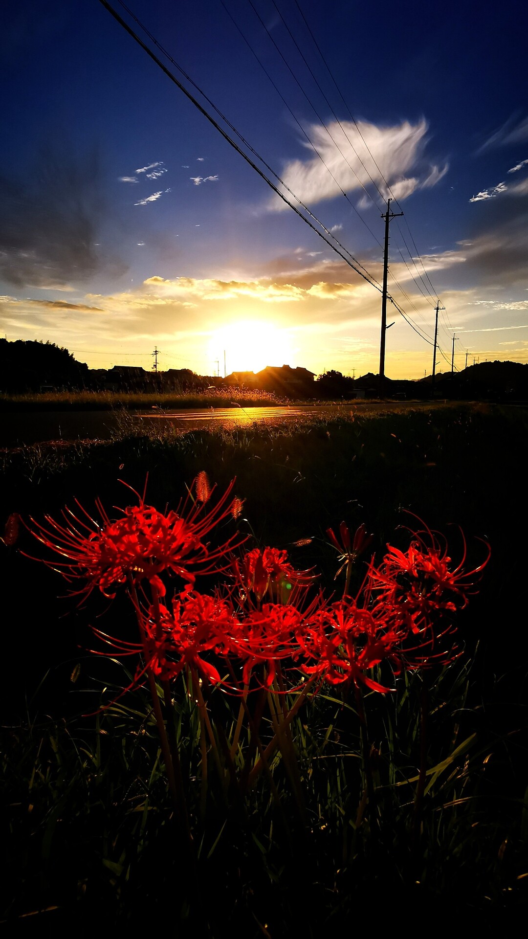 夕暮れ🌇🌆sunset🌄 / YAMA由さんのモーメント | YAMAP / ヤマップ