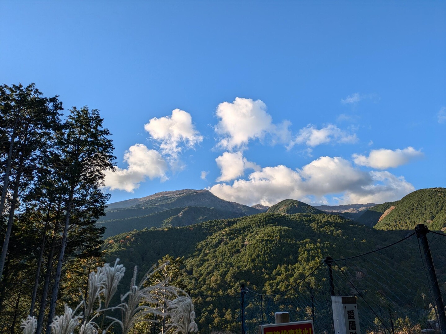 愛鷹山DNS / トラウトさんのランニングの活動データ | YAMAP / ヤマップ