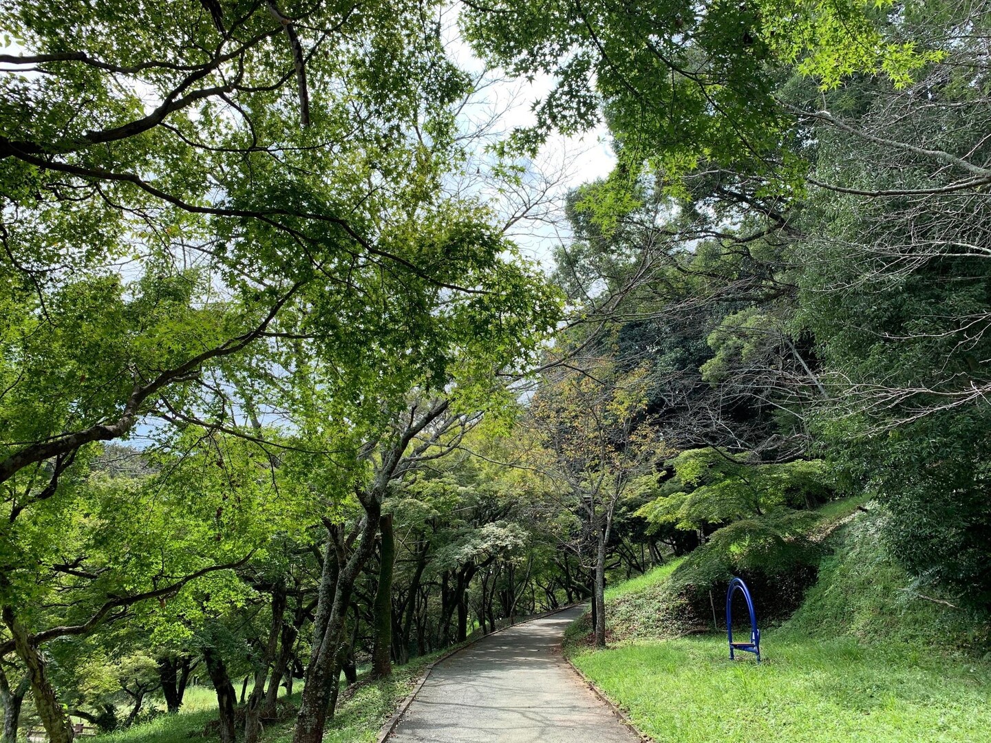 今朝は曇り空だけど…晴れ間も見れたのでリ... / HALさんのモーメント | YAMAP / ヤマップ