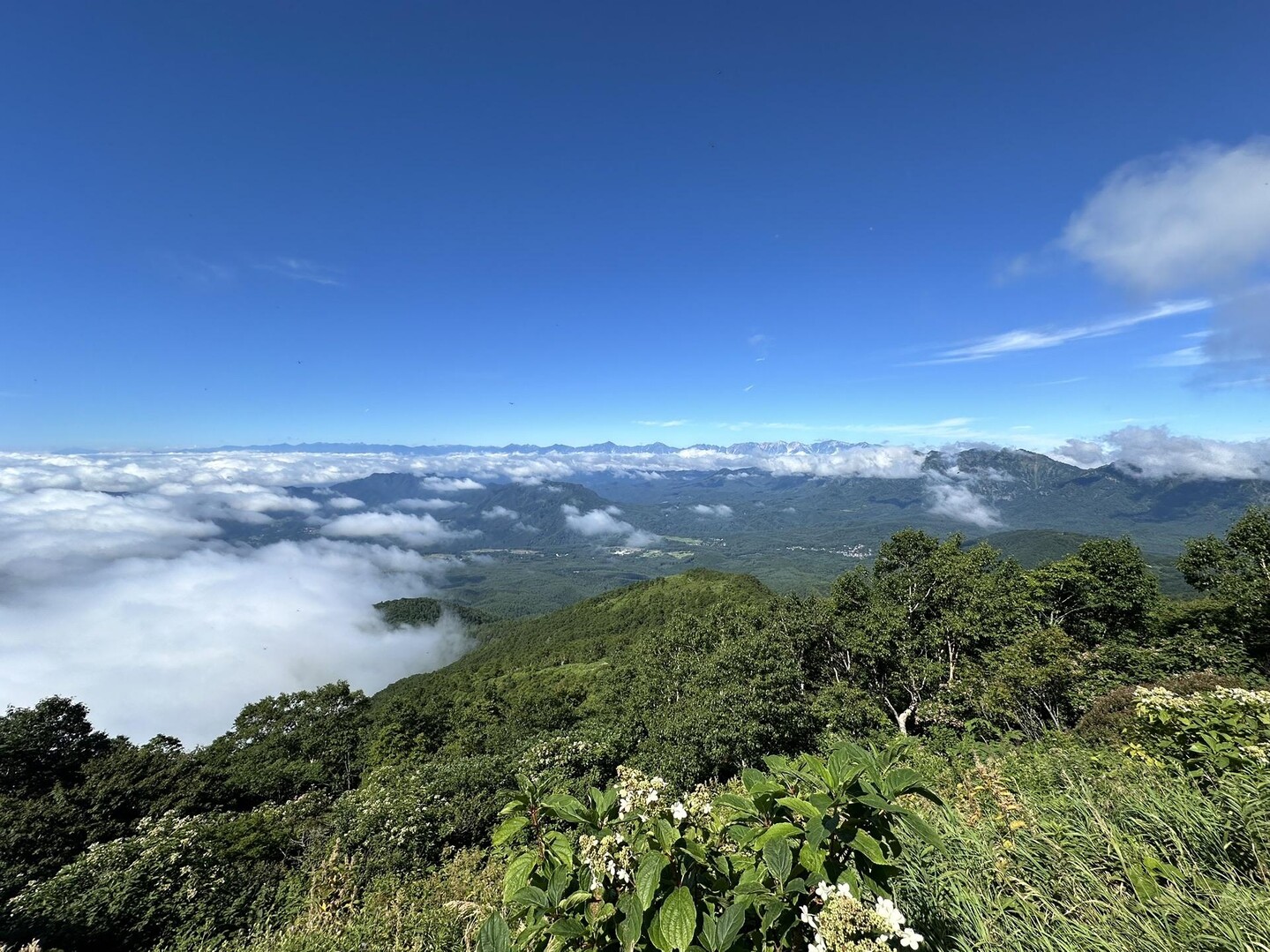 飯縄山（飯綱山） / miiさんの飯縄山の活動データ | YAMAP / ヤマップ