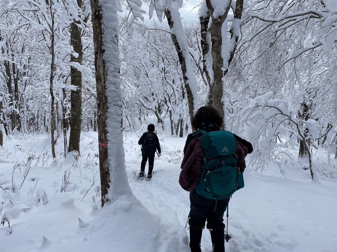 nyaomaskのページ | YAMAP / ヤマップ