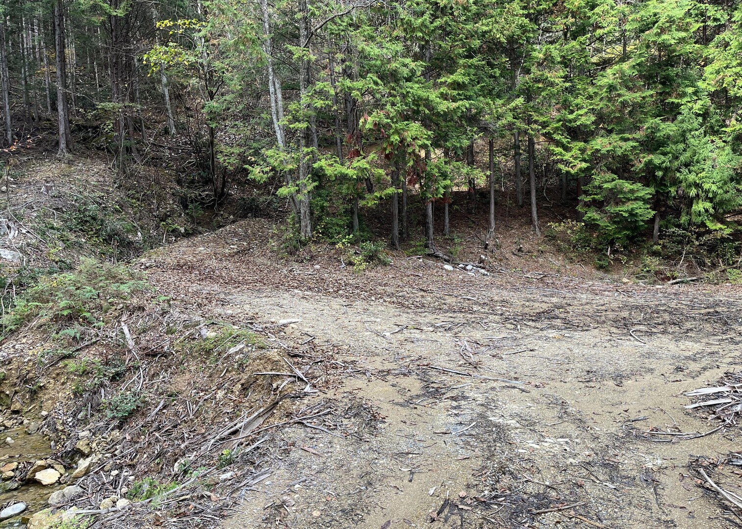 wtaxus わたくさすさんの投稿したフィールドメモ | YAMAP / ヤマップ