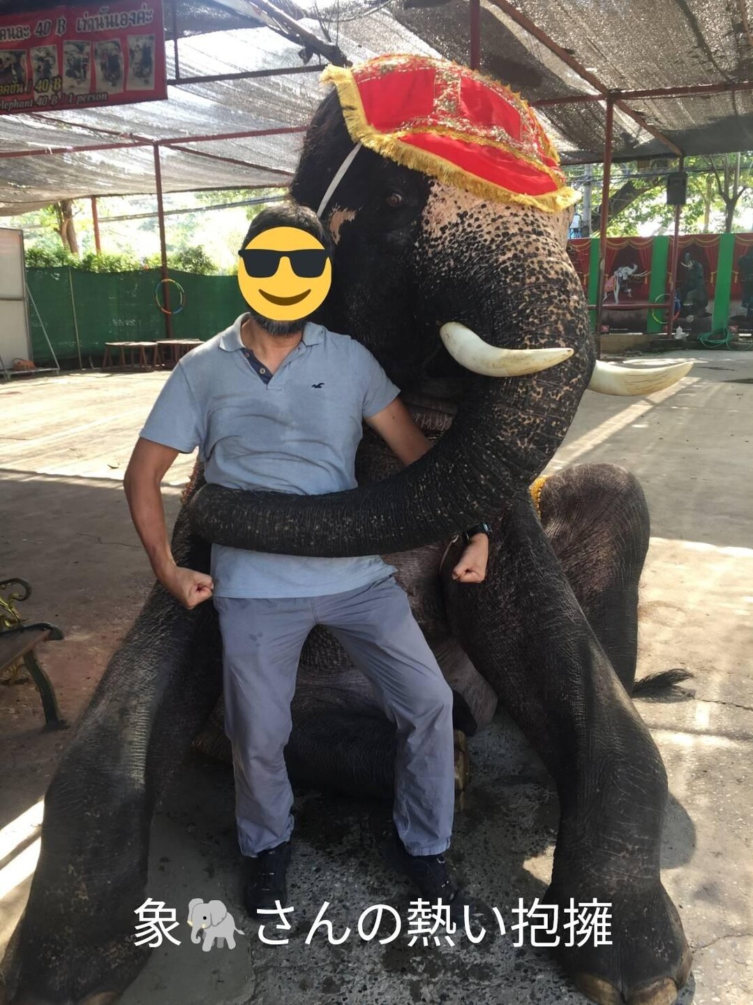 トナカイじゃなく、🐘に乗ったサンタさん... / denaliさんのモーメント | YAMAP / ヤマップ