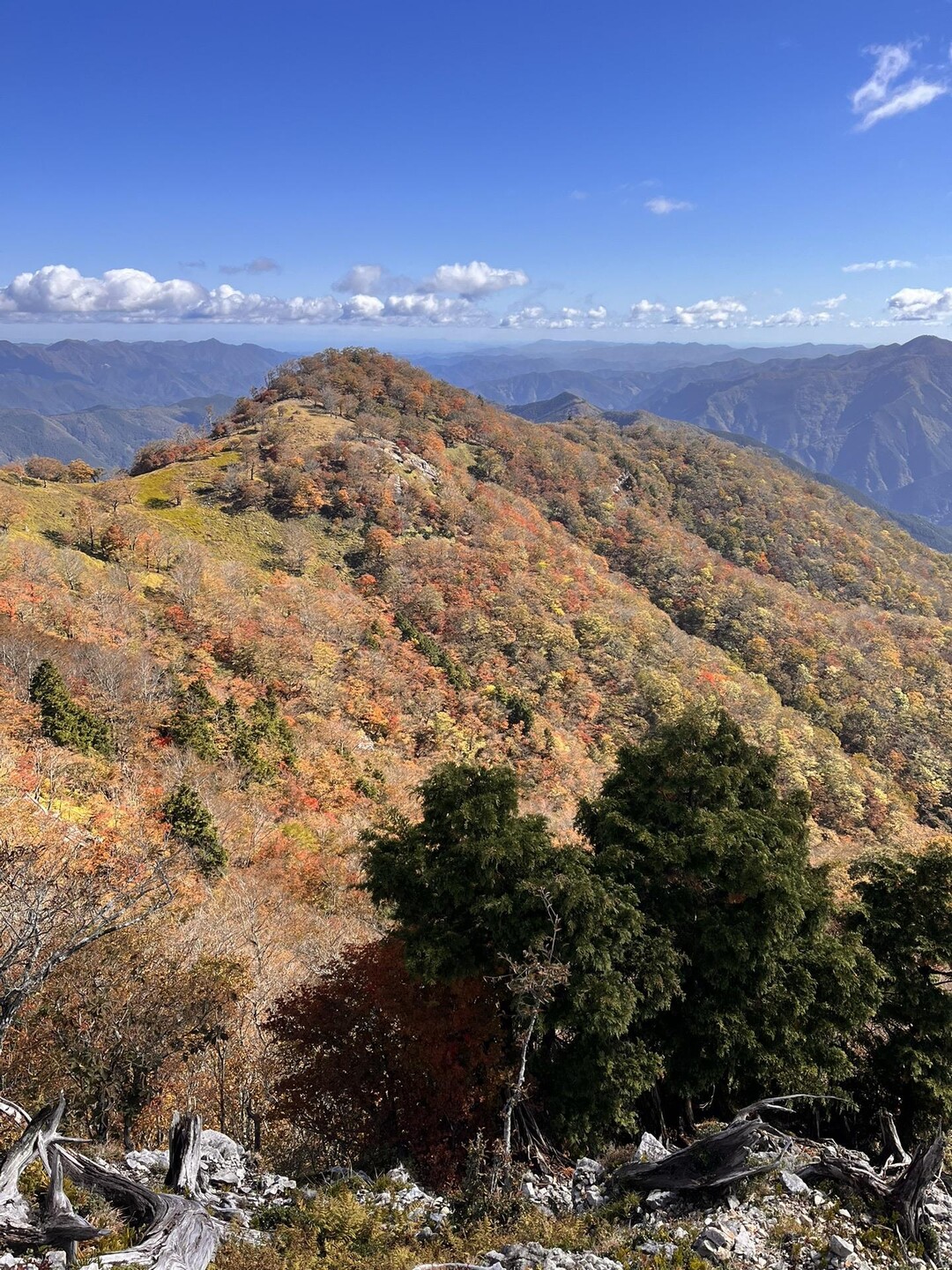 マナコ谷登山口から桧塚→明神平 / ta_ba8016さんの桧塚奥峰・明神岳・薊岳の活動データ | YAMAP / ヤマップ