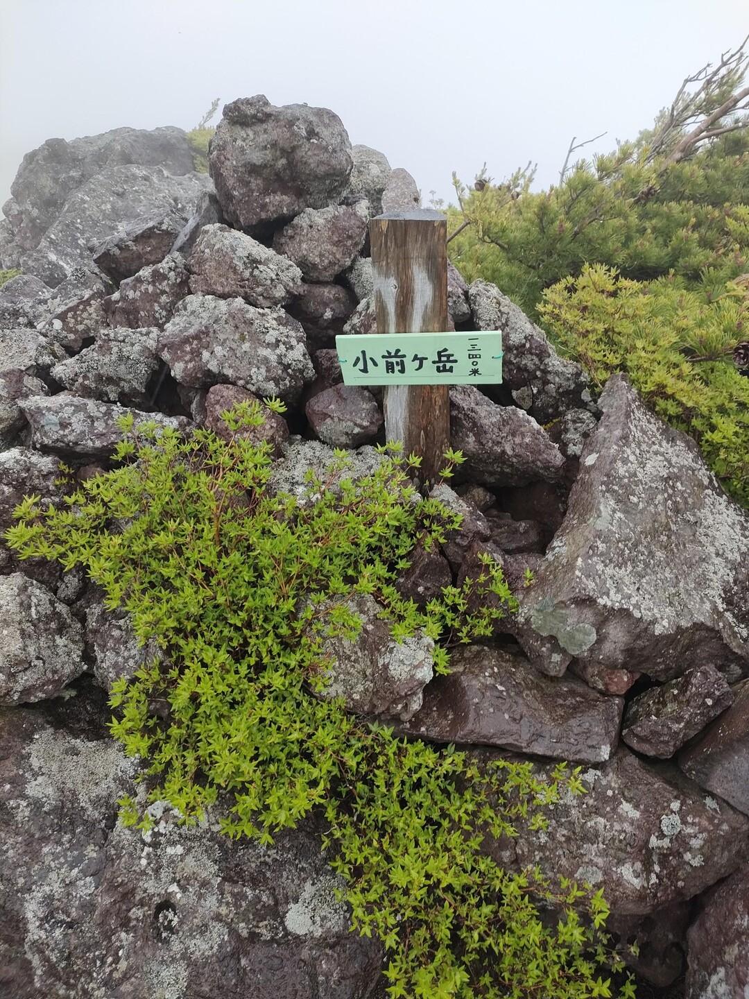 小前ヶ岳・前ヶ岳 / ukeyさんの安達太良山・箕輪山・鬼面山の活動データ | YAMAP / ヤマップ