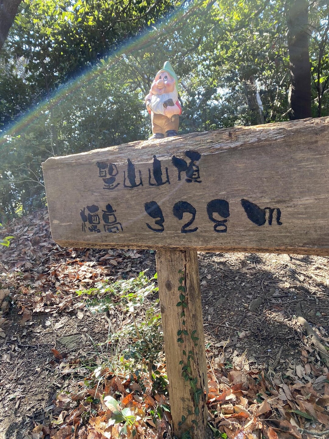 聖山・貧乏山 / 130tさんの三ヶ根山の活動データ | YAMAP / ヤマップ