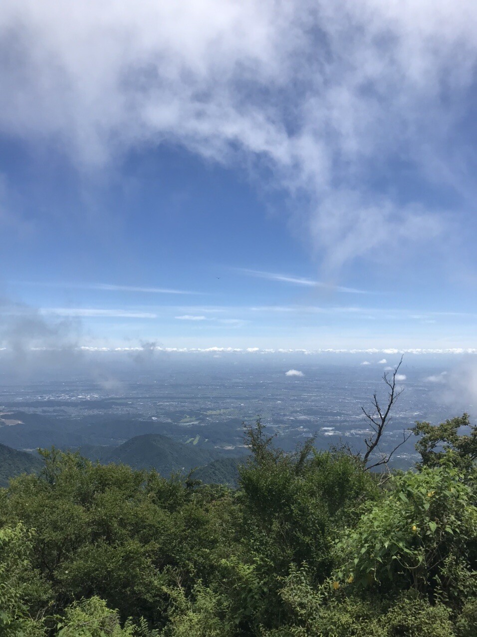 大山 / gucciさんの大山の活動データ | YAMAP / ヤマップ