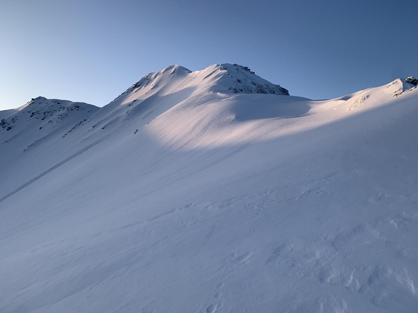 仙丈ヶ岳 / 痩っせんBOさんの仙丈ヶ岳・伊那荒倉岳の活動データ | YAMAP / ヤマップ
