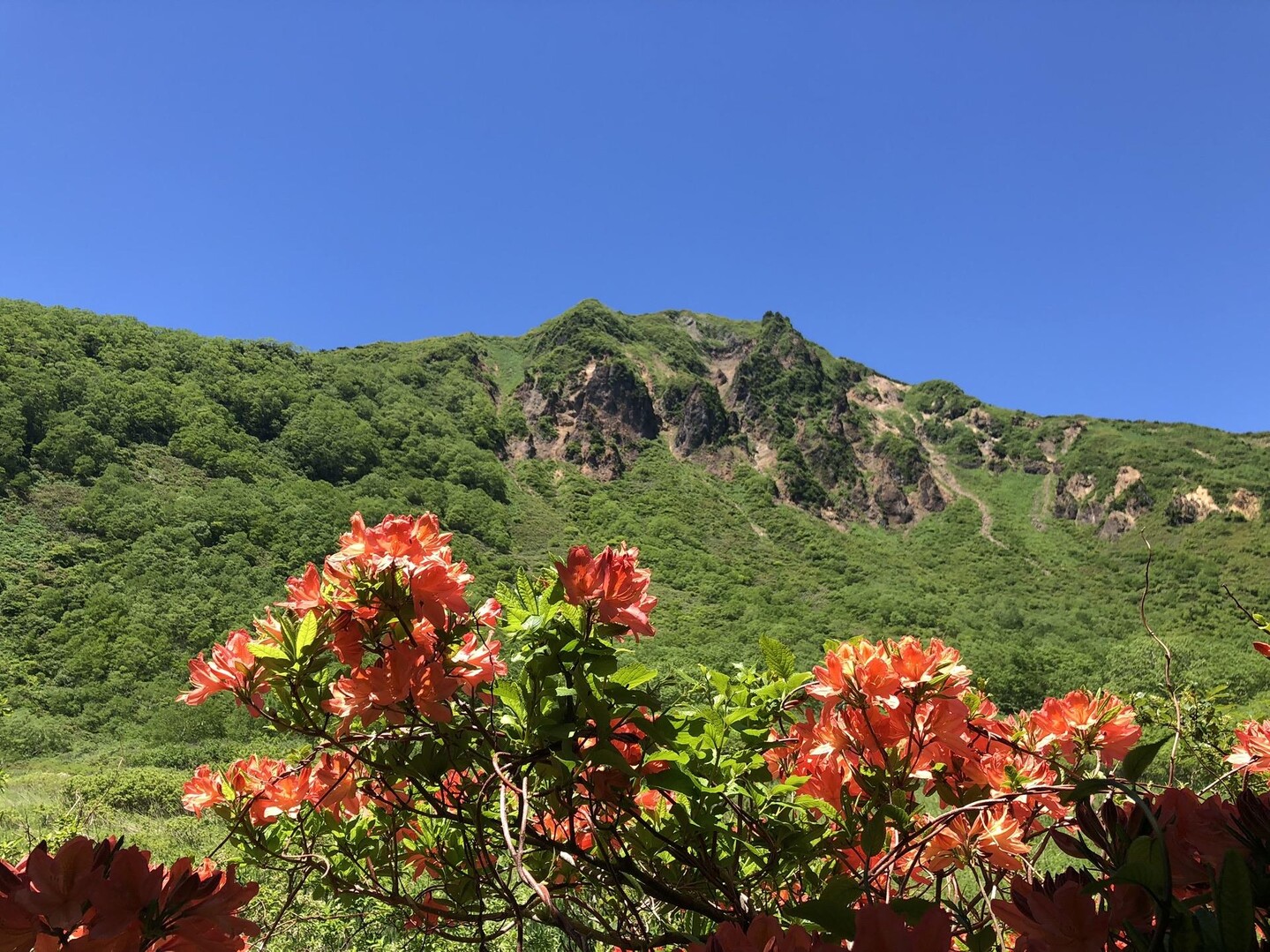 磐梯山・赤埴山 / kojiさんの磐梯山・雄国山・赤埴山の活動データ | YAMAP / ヤマップ