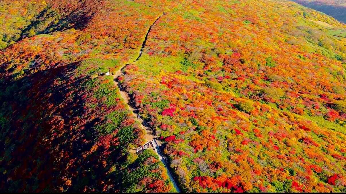 栗駒山 登山の日晴天 2025-10-03 Mount Kurikoma's Carpet of the Gods / ischanさんの栗駒 ...