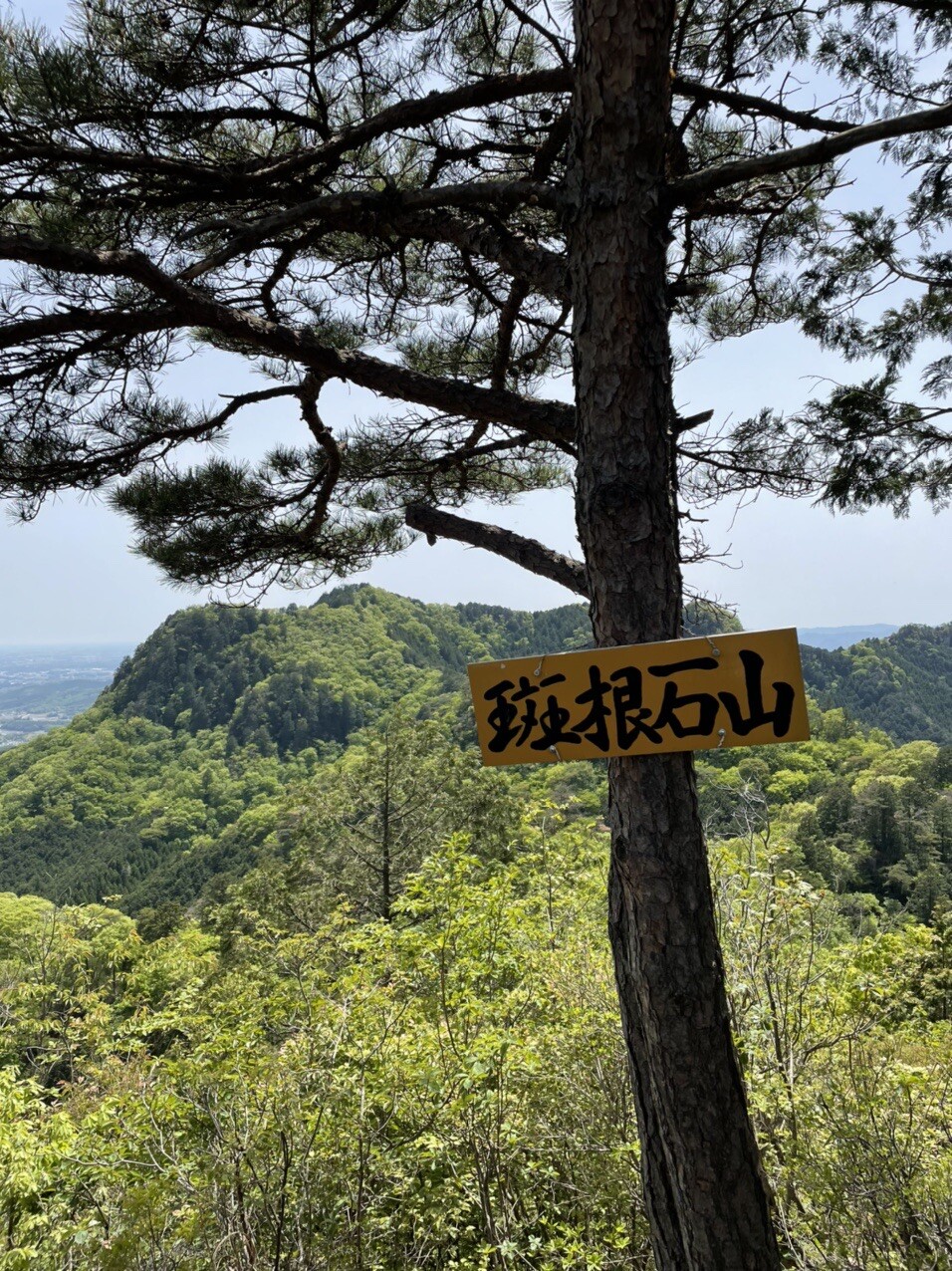 斑根石山・540P・三角山 / puniko🌝さんの古賀志山・赤岩山・鞍掛山・男抱山・半蔵山の活動日記 | YAMAP / ヤマップ