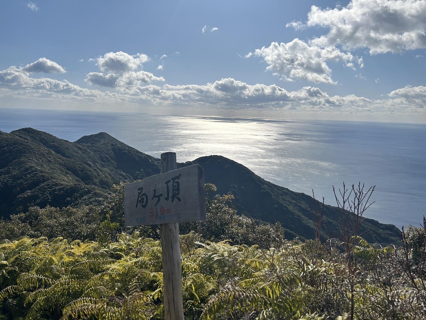 相賀浅間山・北峰・局ヶ頂 / 局ヶ頂の写真11枚目 | YAMAP / ヤマップ