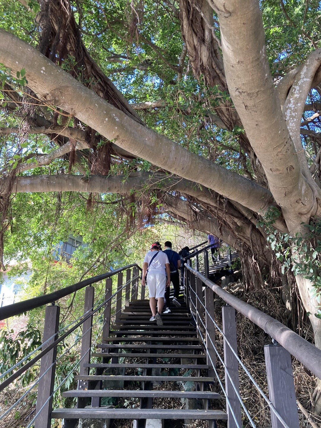 壽山国家自然公園(台湾高雄) / kakoさんのウォーキングの活動データ | YAMAP / ヤマップ