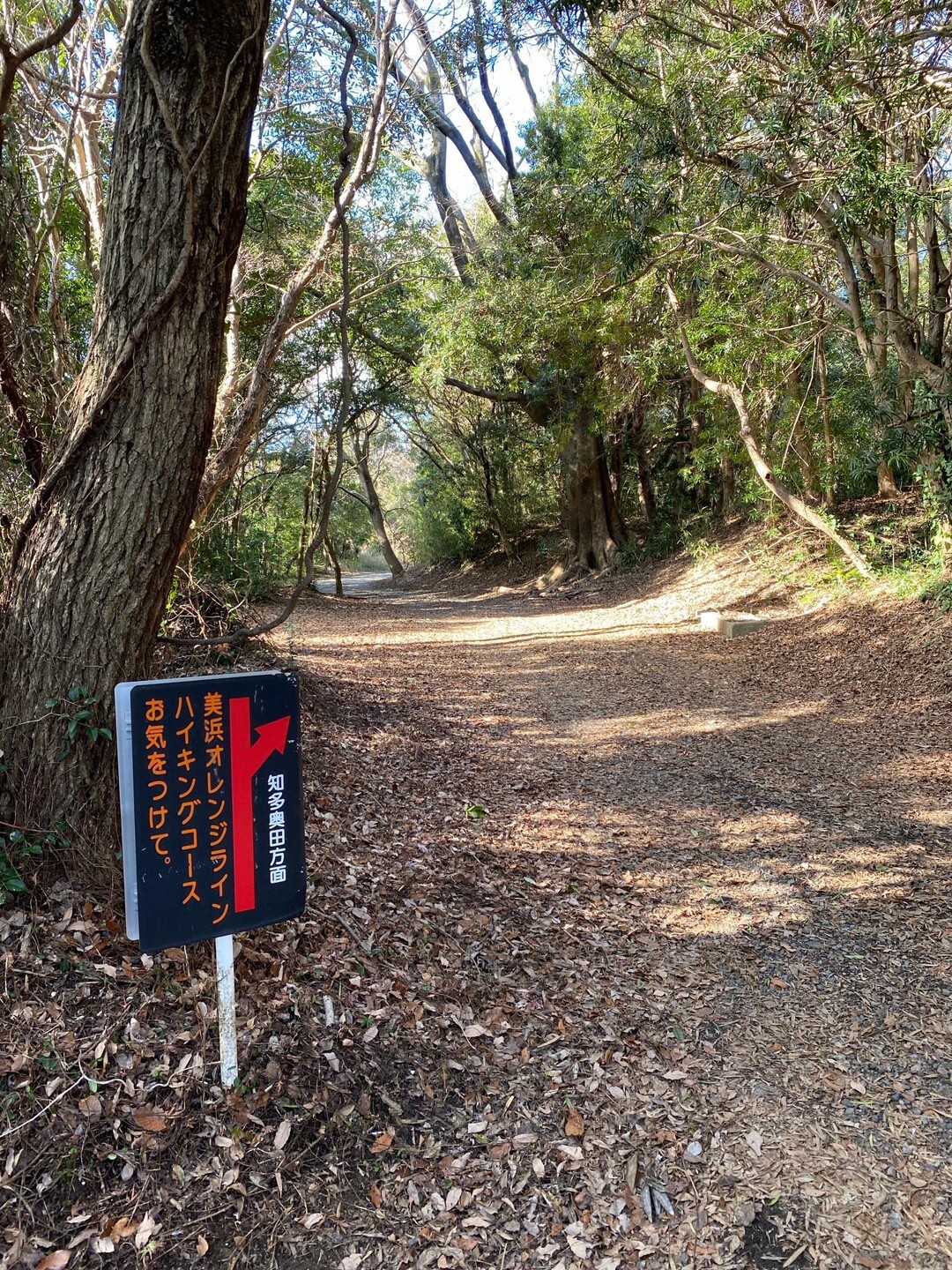 鍋山・ウォーキング / papaさんの知多半島（任坊山・本宮山・鍋山）の活動データ | YAMAP / ヤマップ