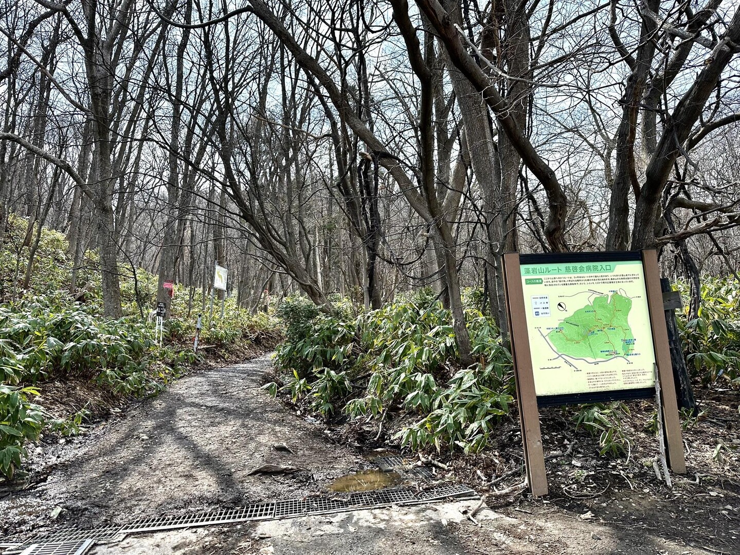 藻岩山 / maaさんの藻岩山の活動データ | YAMAP / ヤマップ