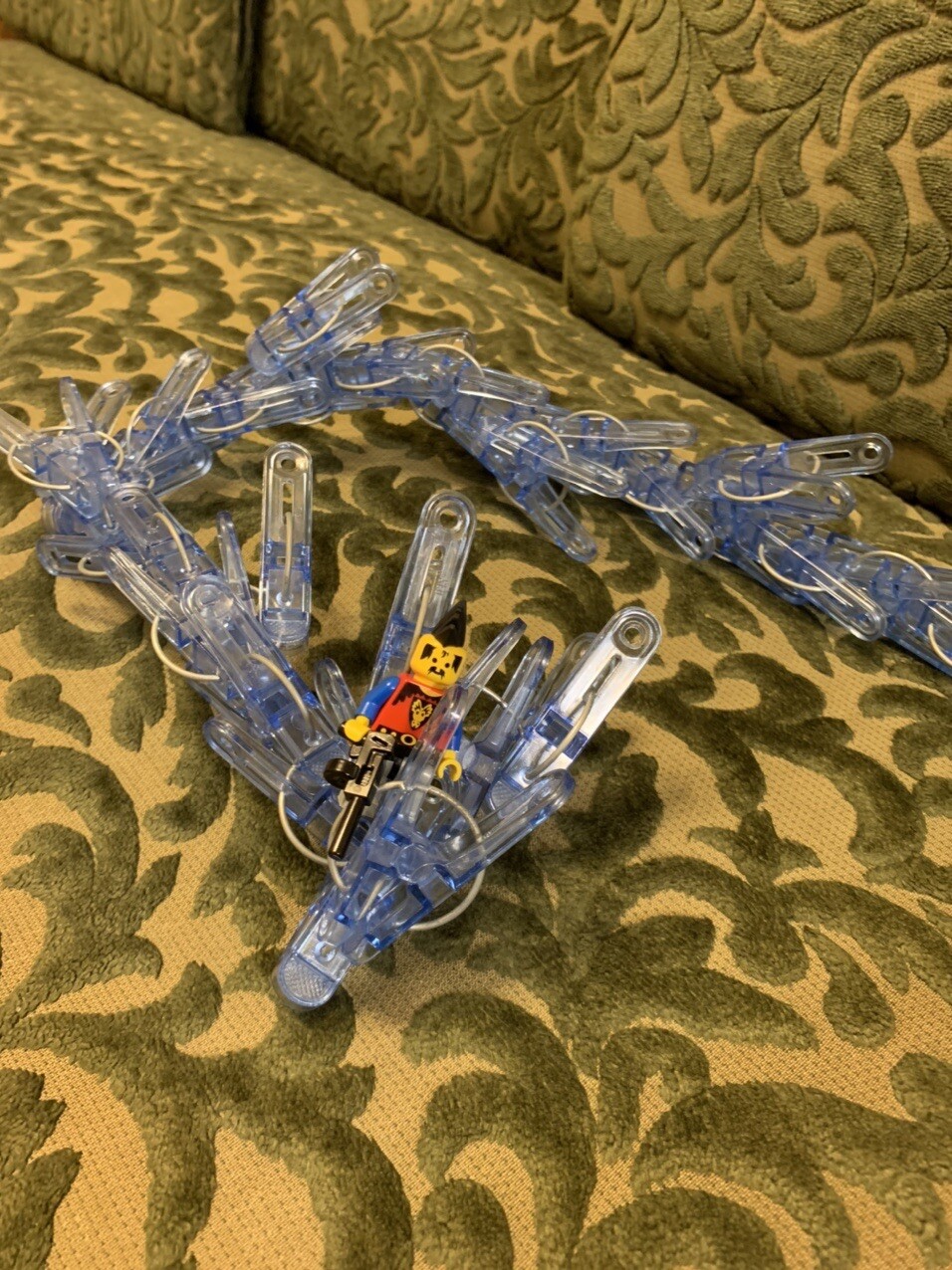 these days No,42 ほ... / Wis⁂さんのモーメント | YAMAP / ヤマップ