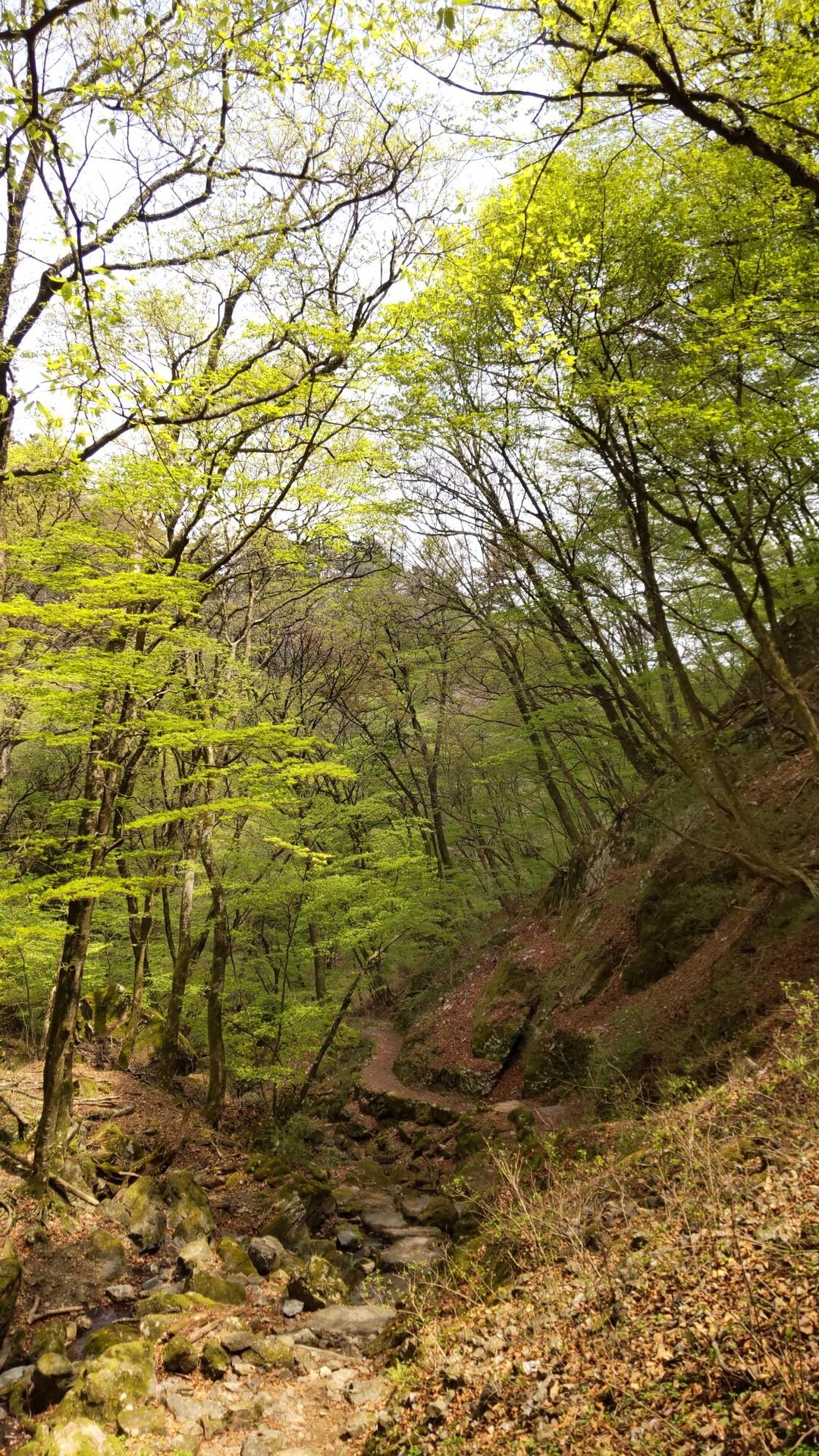 御岳山・奥の院峰 / A1-2075さんの大岳山・御岳山・御前山の活動データ | YAMAP / ヤマップ