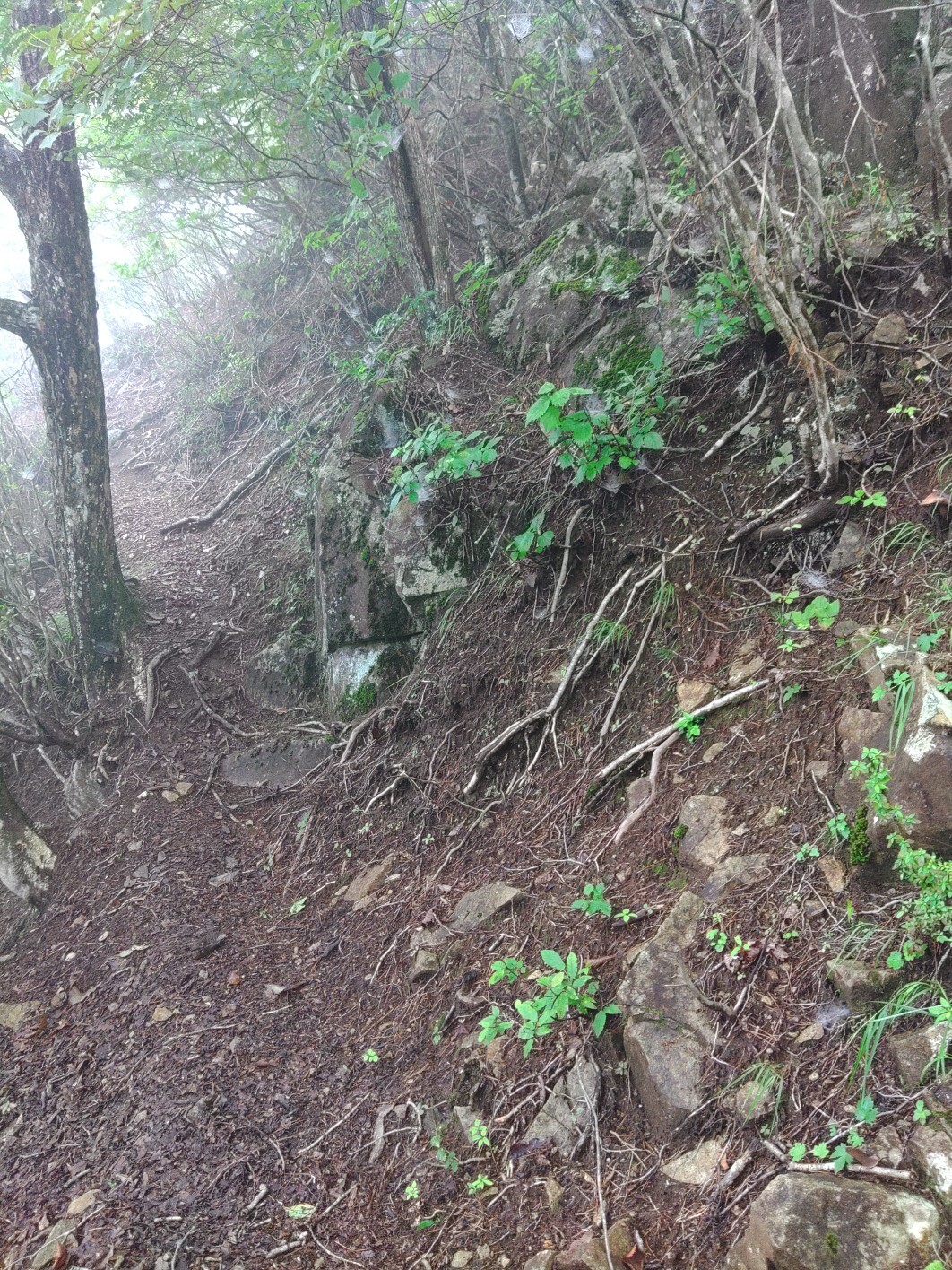 KOROさんの投稿したフィールドメモ | YAMAP / ヤマップ