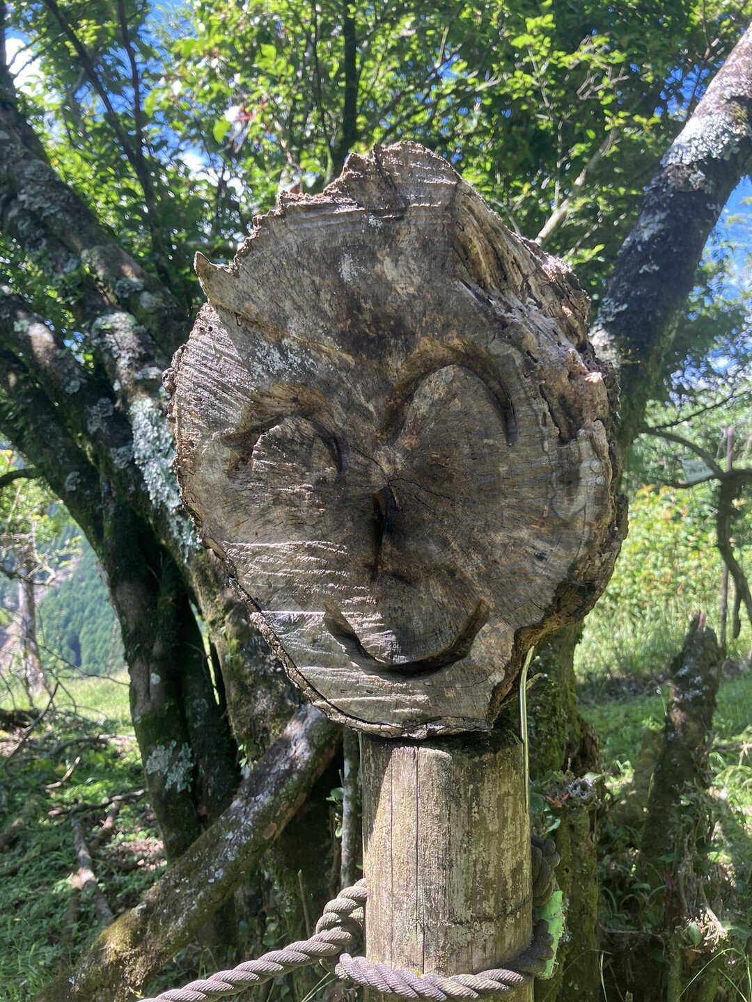 檜洞丸・熊笹ノ峰・大笄・小笄 / aoさんの大室山・畦ヶ丸山・菰釣山の活動データ | YAMAP / ヤマップ
