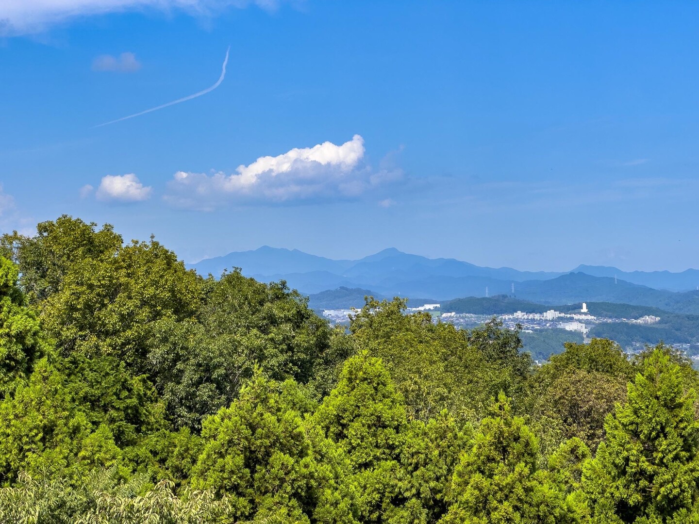 阿須山 / RED TOMさんの加治丘陵・七国山の活動データ | YAMAP / ヤマップ