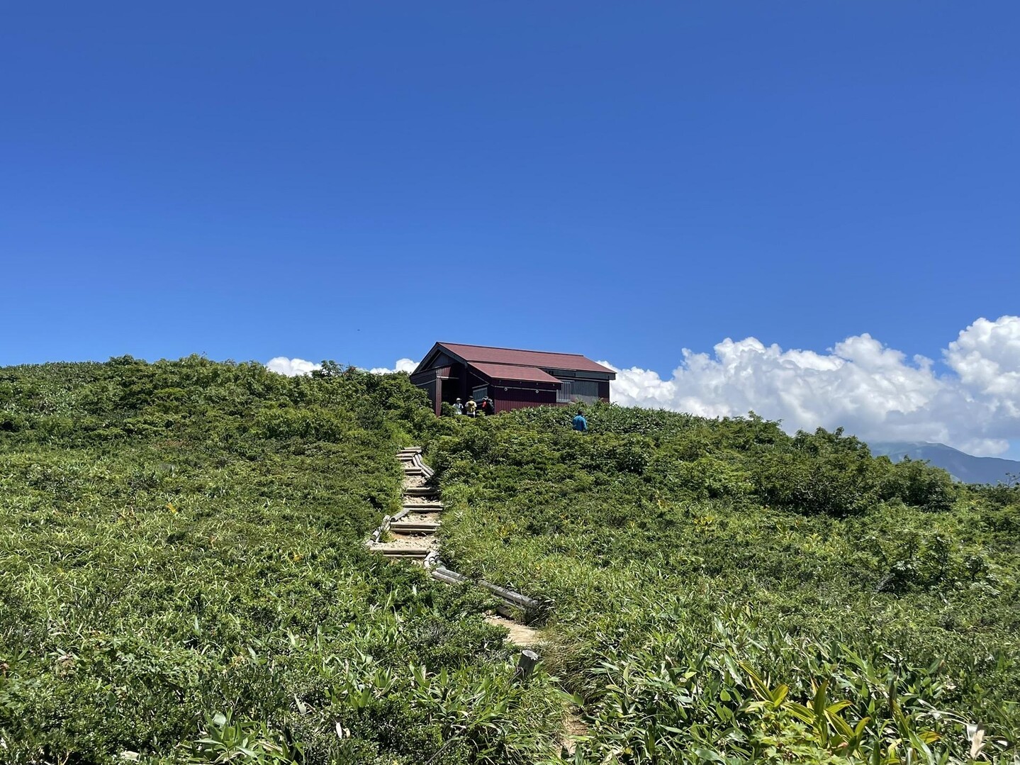 赤兎山② / fumiさんの赤兎山・猪鼻山の活動データ | YAMAP / ヤマップ