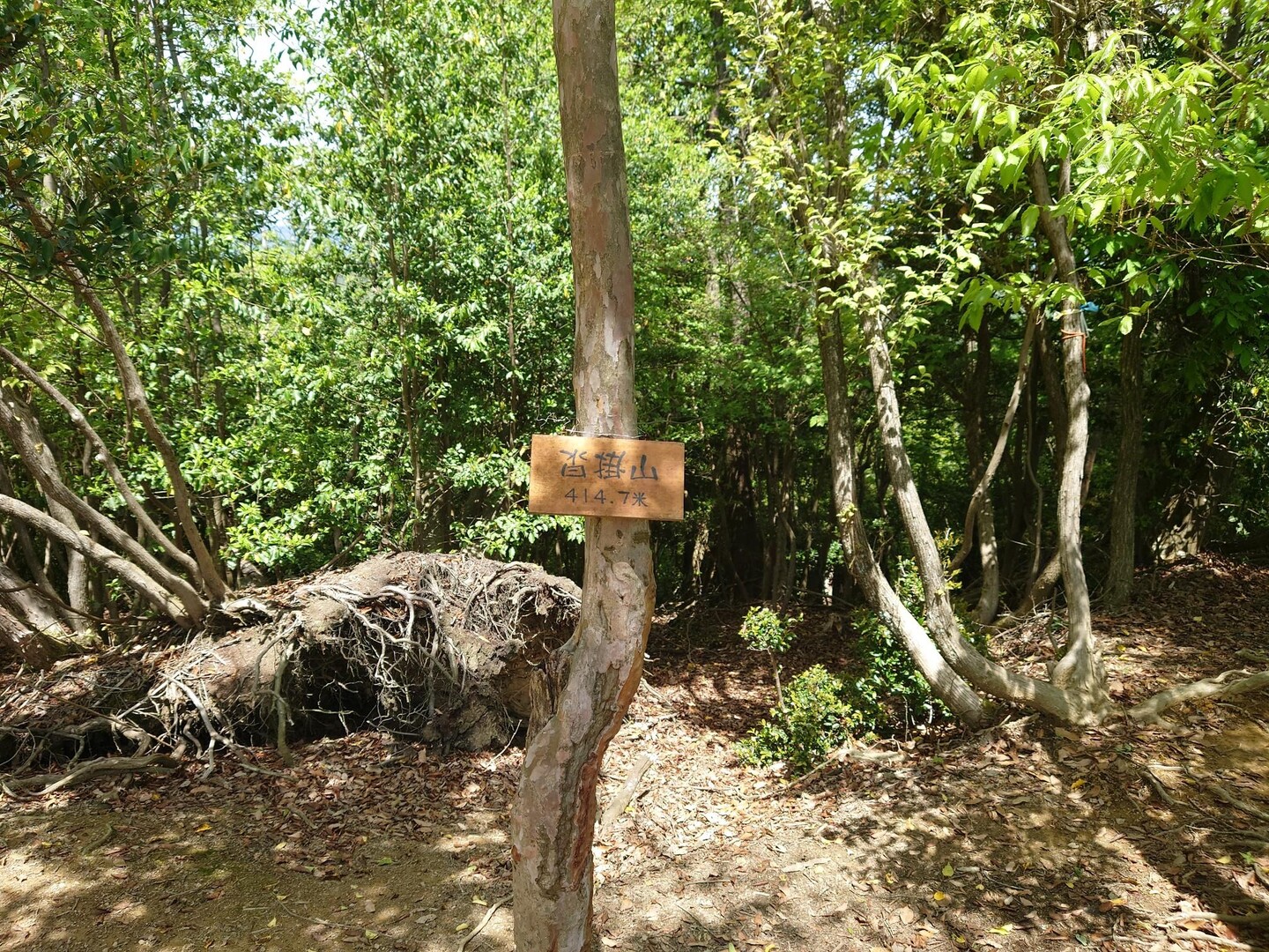 松尾山・嵐山・沓掛山 / kazu-chappyさんの沓掛山・みすぎ山・唐櫃越の活動データ | YAMAP / ヤマップ