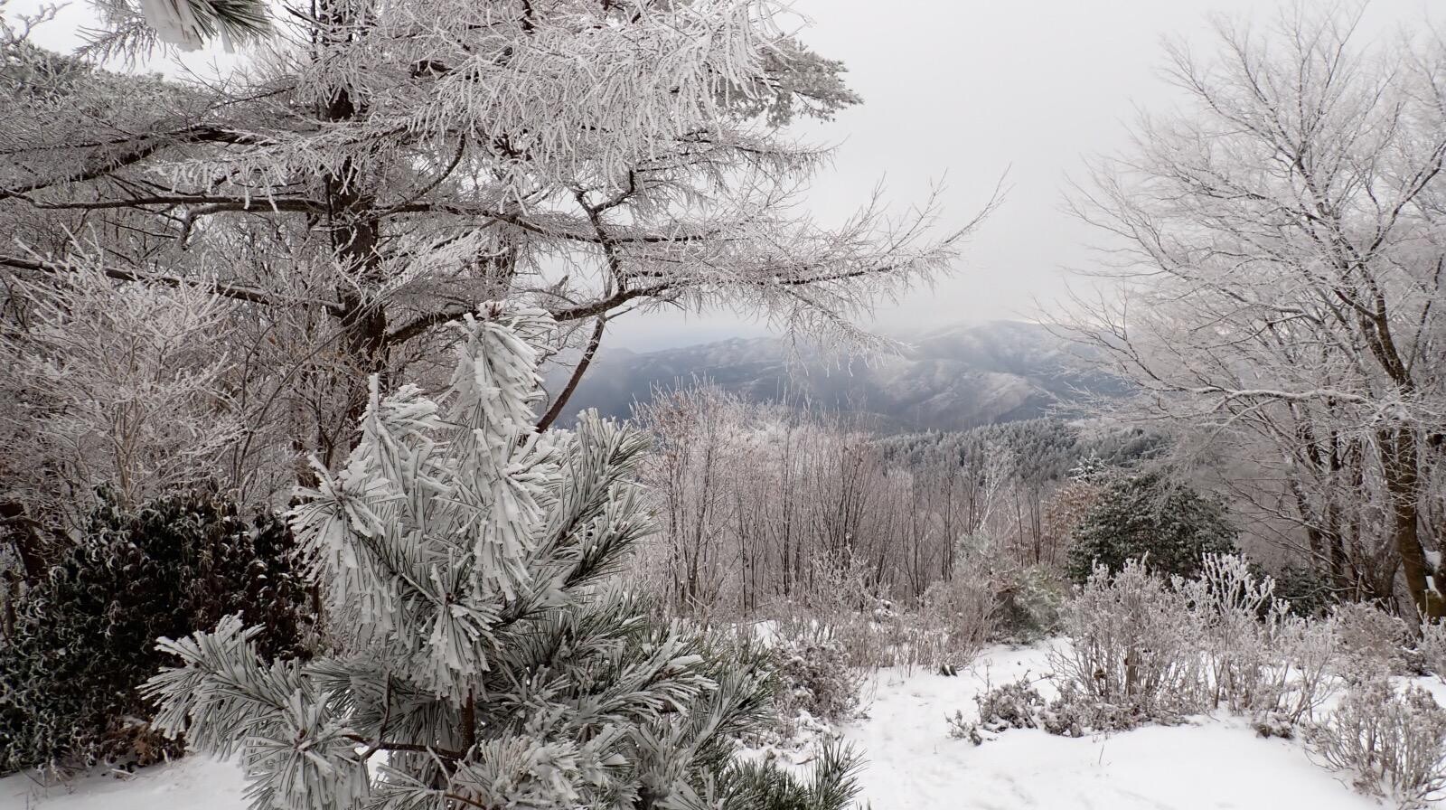 雪と樹氷いっぱいの寧比曽岳 ️⛄️ ️ / cooさんの寧比曽岳・筈ヶ岳・出来山の活動データ | YAMAP / ヤマップ