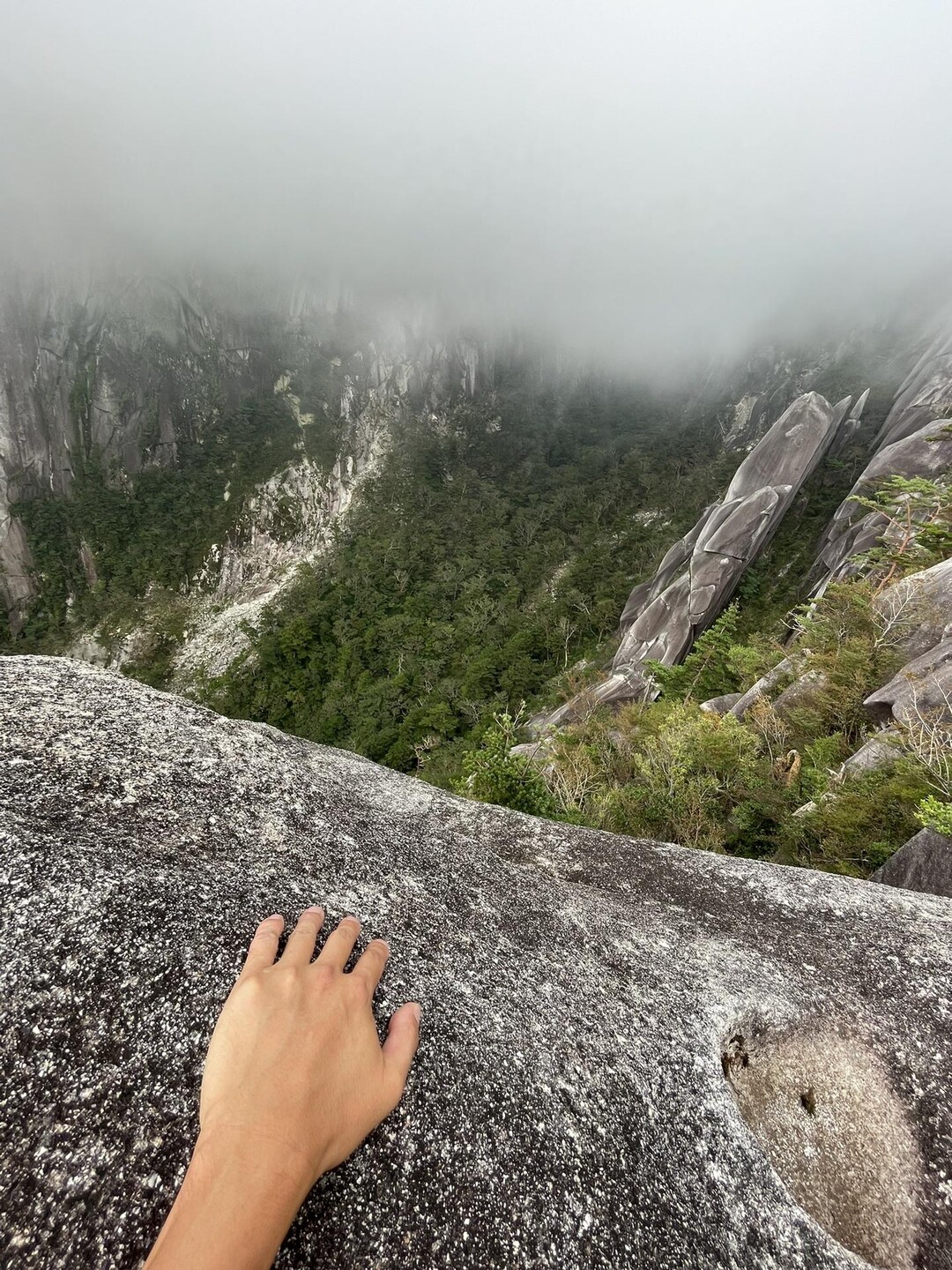 九州最恐にて子鹿モード（大崩山） / rnrさんの大崩山・五葉岳・新百姓山の活動データ | YAMAP / ヤマップ