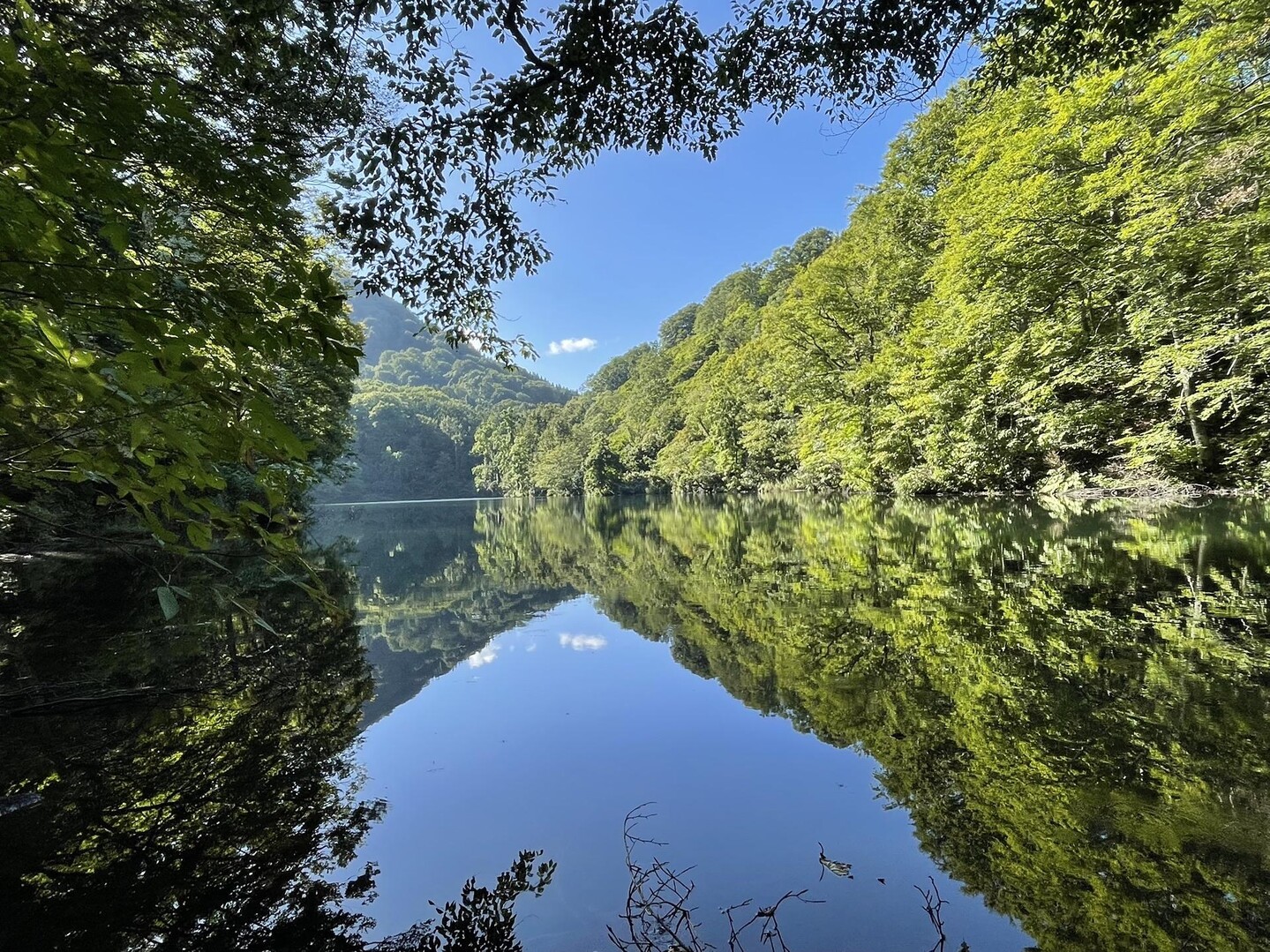 静けさの中の雨生ヶ池と番屋山 / akko.tさんの番屋山の活動データ | YAMAP / ヤマップ