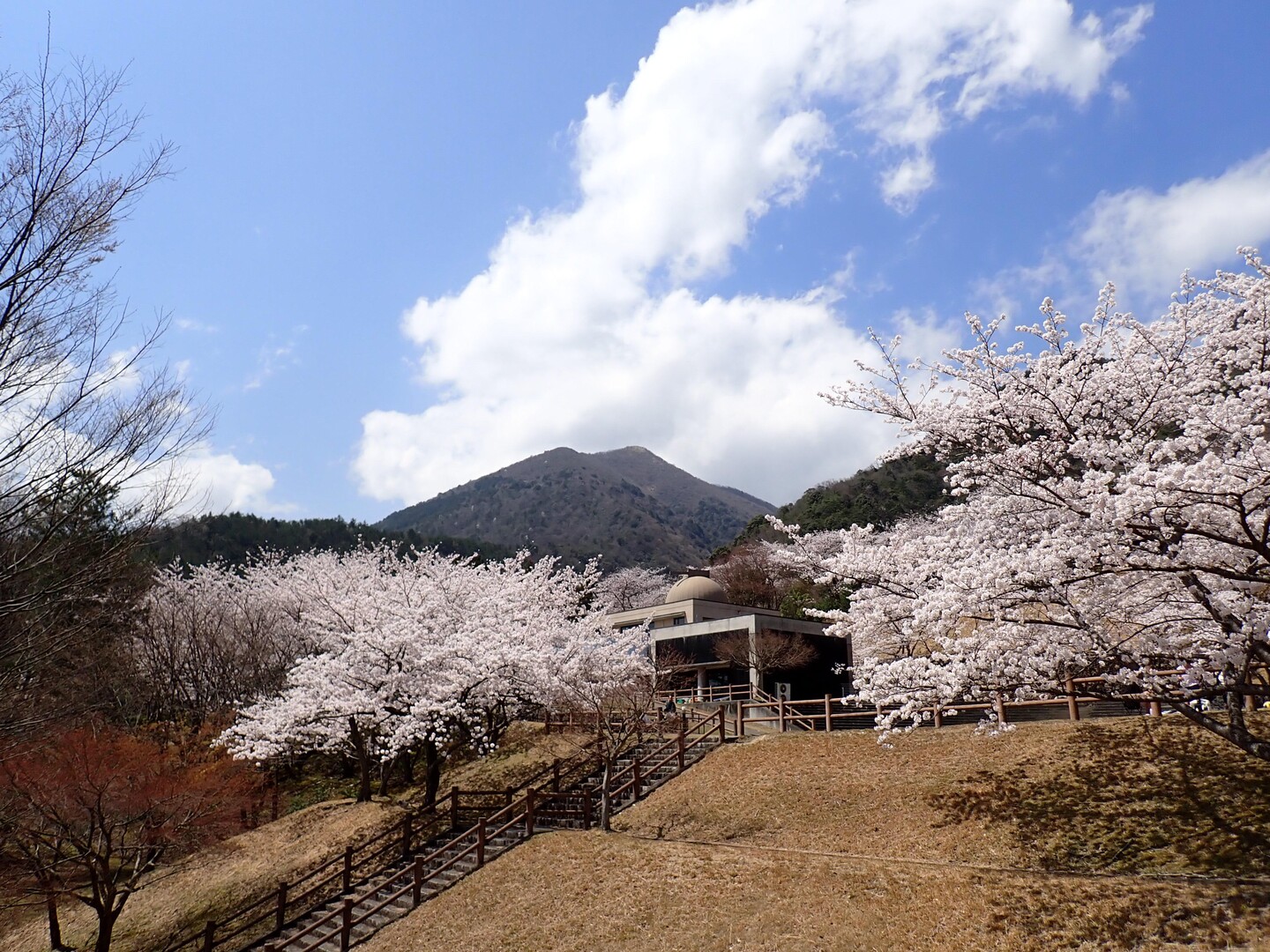 ヤケオ山～楊梅の滝 / kol-hiraさんの比良山地・武奈ヶ岳・釈迦岳の活動データ | YAMAP / ヤマップ