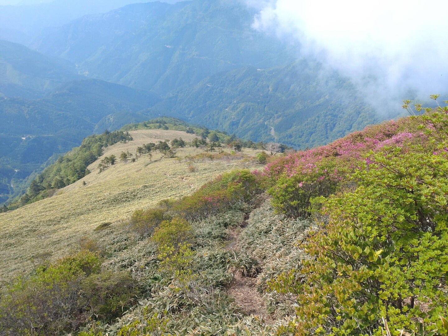 笹ヶ峰→寒風山 / Tom Ookaさんの笹ヶ峰・寒風山・平家平の活動データ | YAMAP / ヤマップ