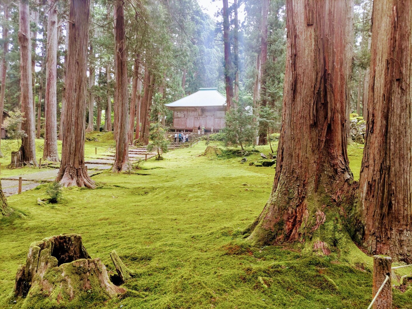 福井巡り 平泉寺白山神社 / keiさんのハイキングの活動データ | YAMAP / ヤマップ