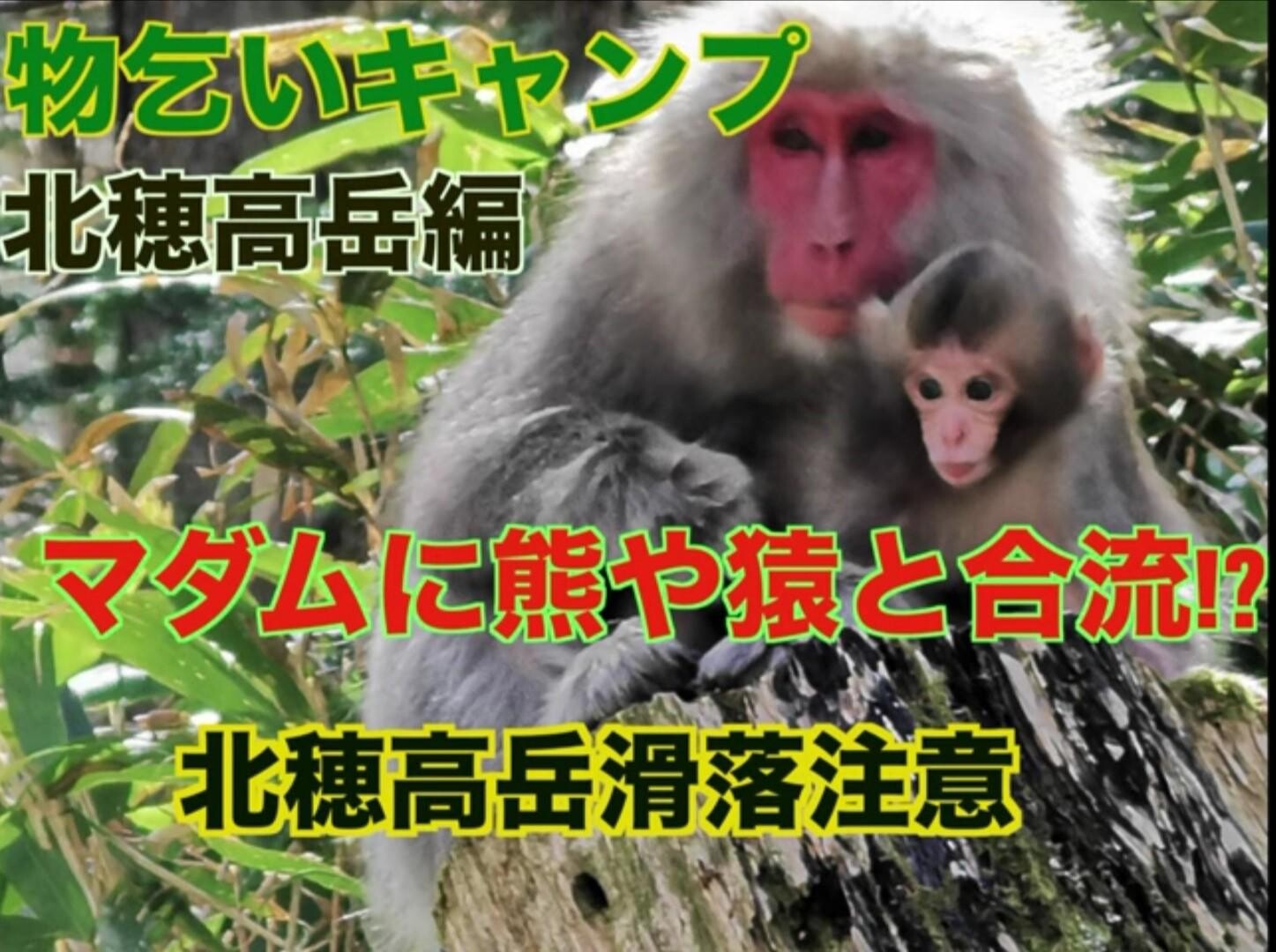 物乞いキャンプ北穂高編をアップしました ... / kassann.k『TRAIL JUSTICE』さんのモーメント | YAMAP / ヤマップ