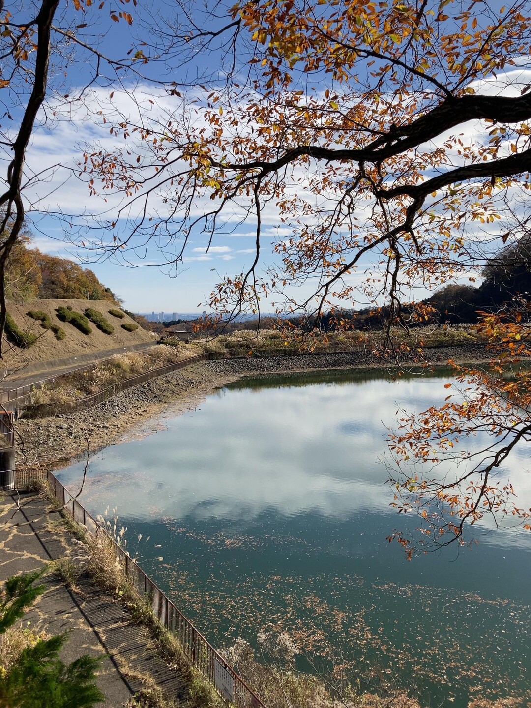 小松ハイキングコース（牡龍籠山・草戸山） / 雲見さんの高尾山・陣馬山・景信山の活動データ | YAMAP / ヤマップ